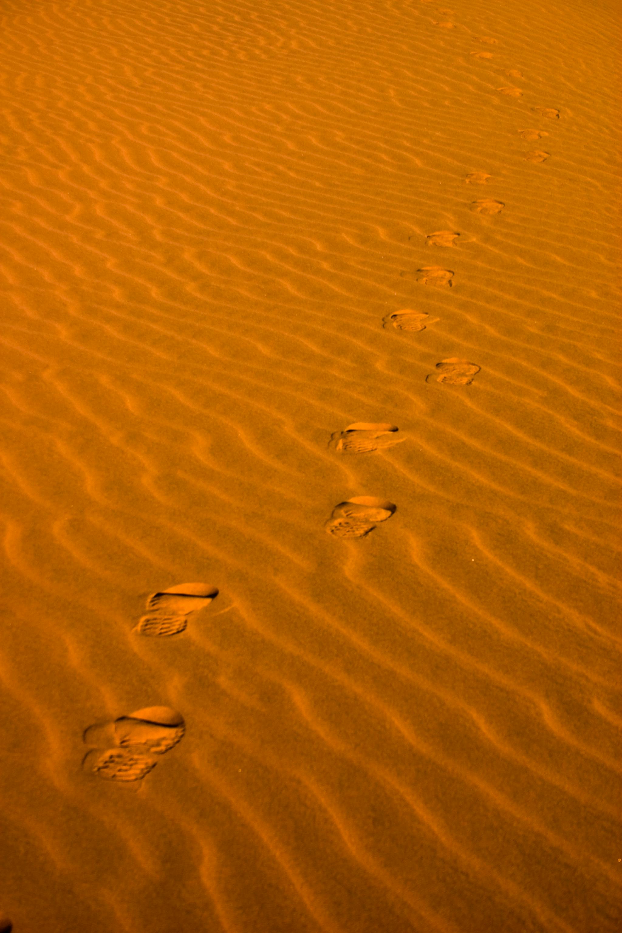 Footsteps In Desert Photos, Download The BEST Free Footsteps In Desert ...