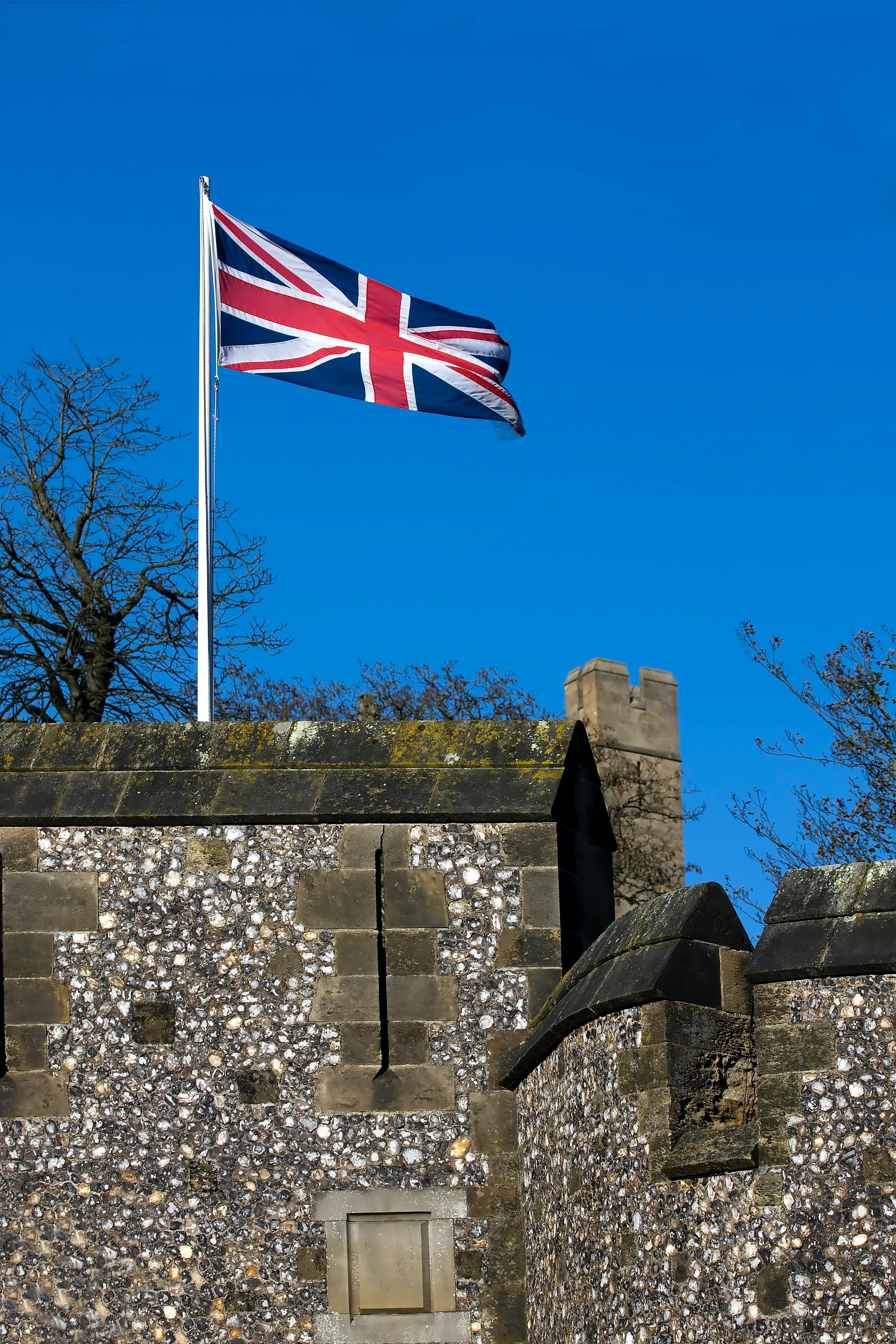 Darren Patterson - Φωτογραφία