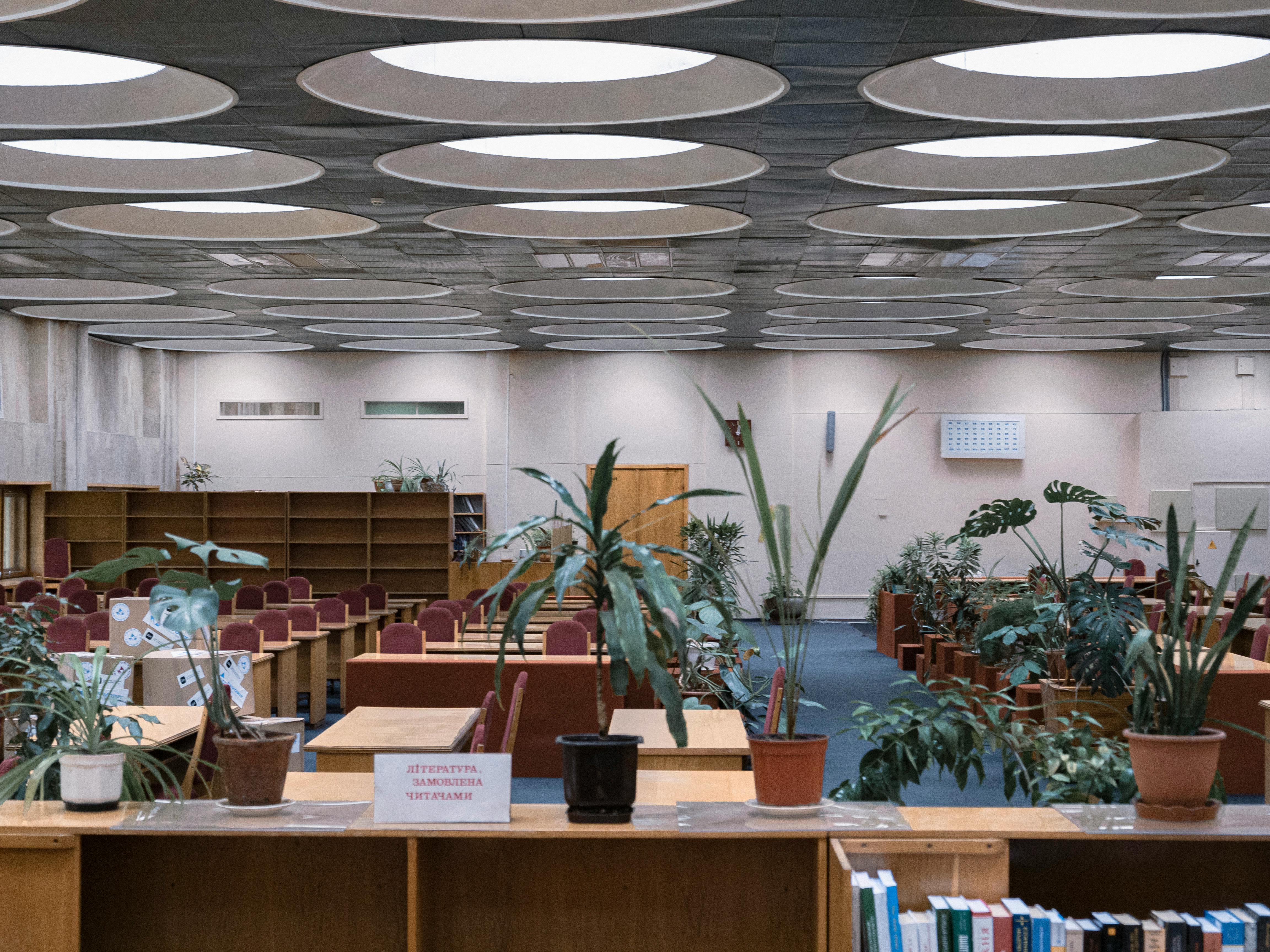 Contemporary interior of library with assorted houseplants · Free Stock ...