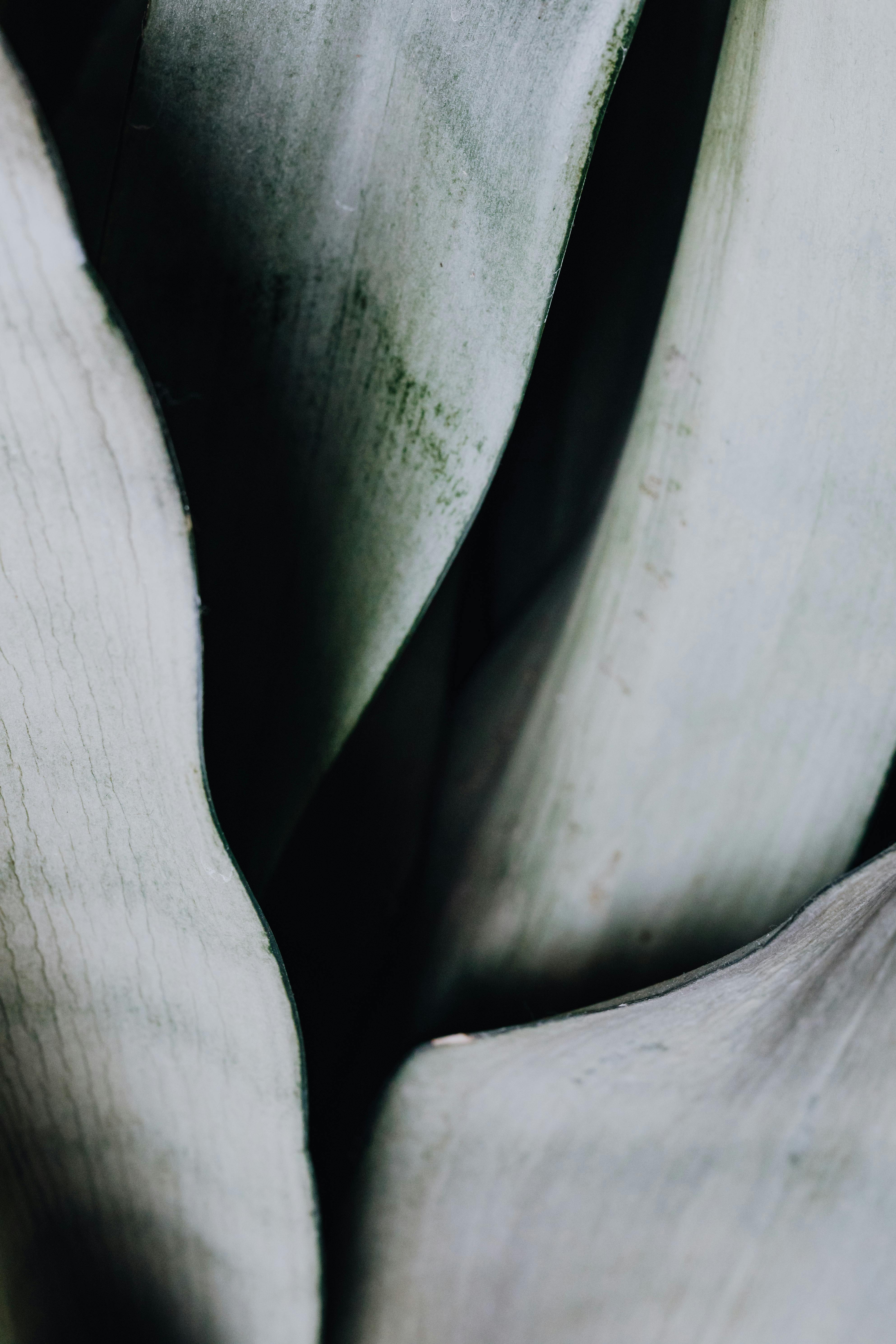 Grayscale Photo of White Textile · Free Stock Photo