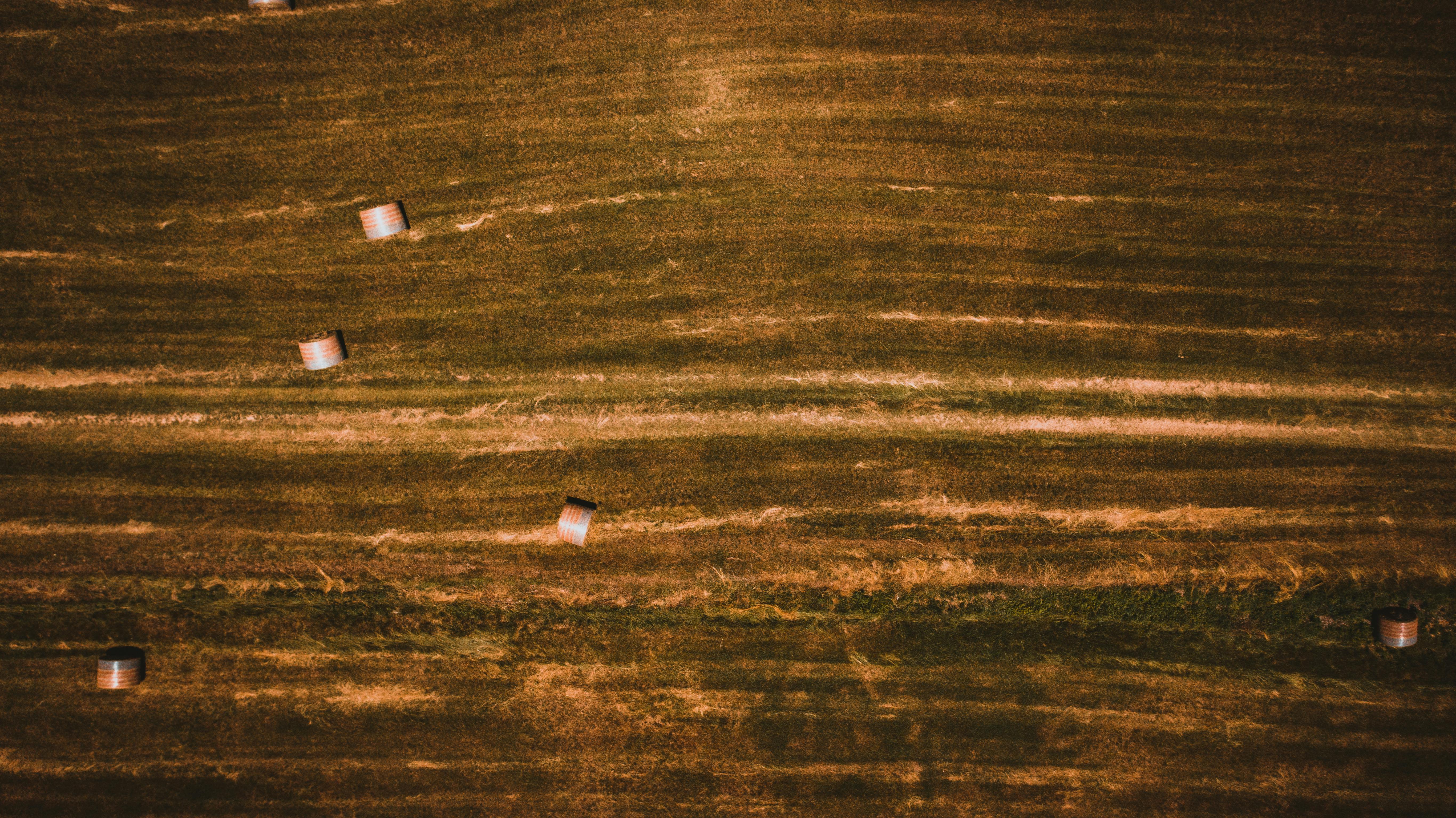 Bale Top Tekstur Photos, Download The BEST Free Bale Top Tekstur Stock ...