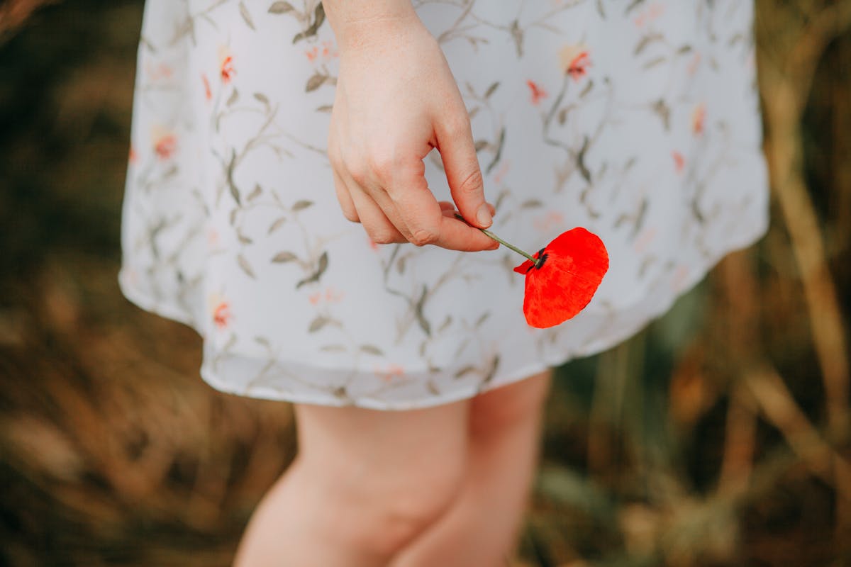 Hand Photos, Download The BEST Free Hand Stock Photos & HD Images