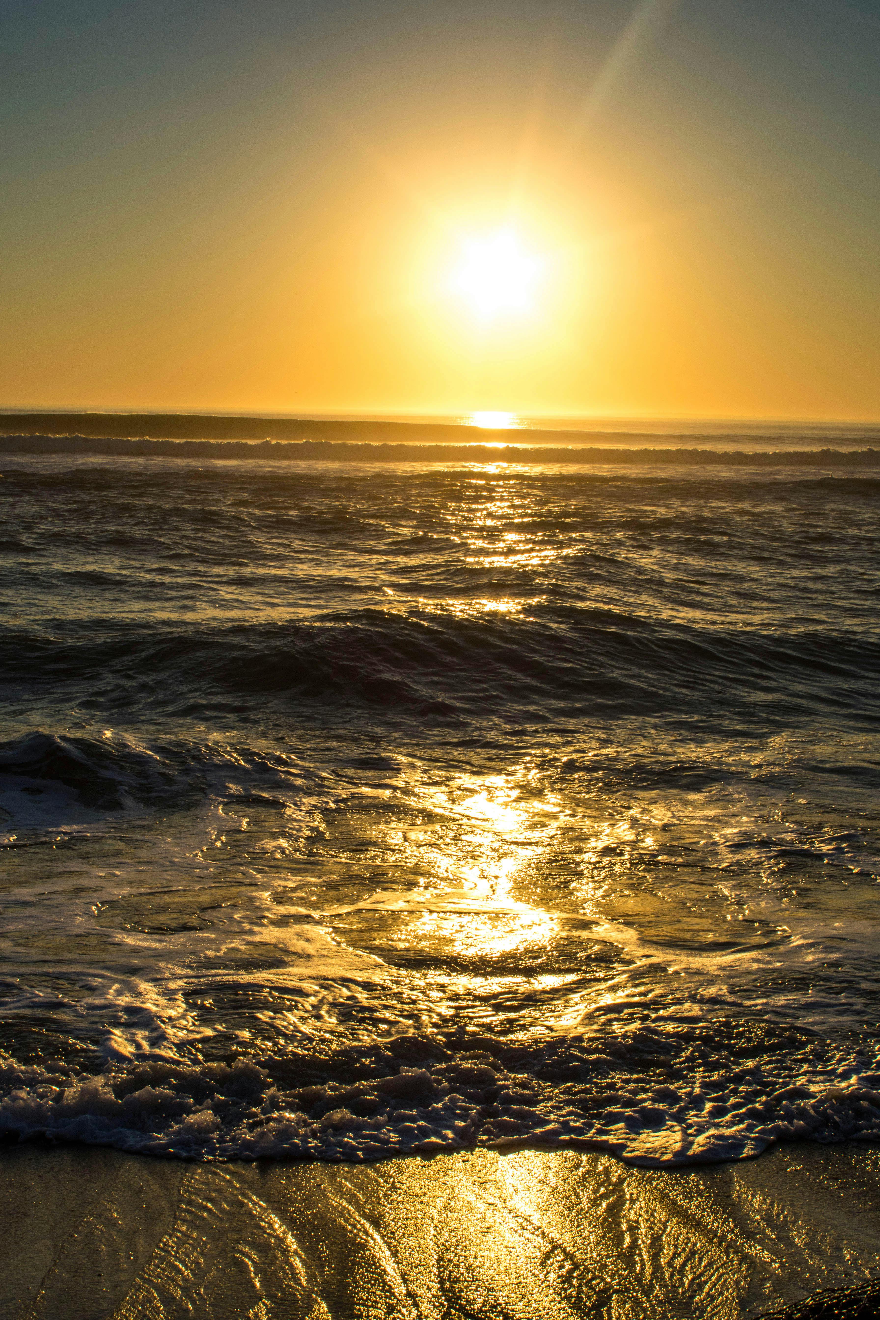 kaylin Jacobs - 摄影