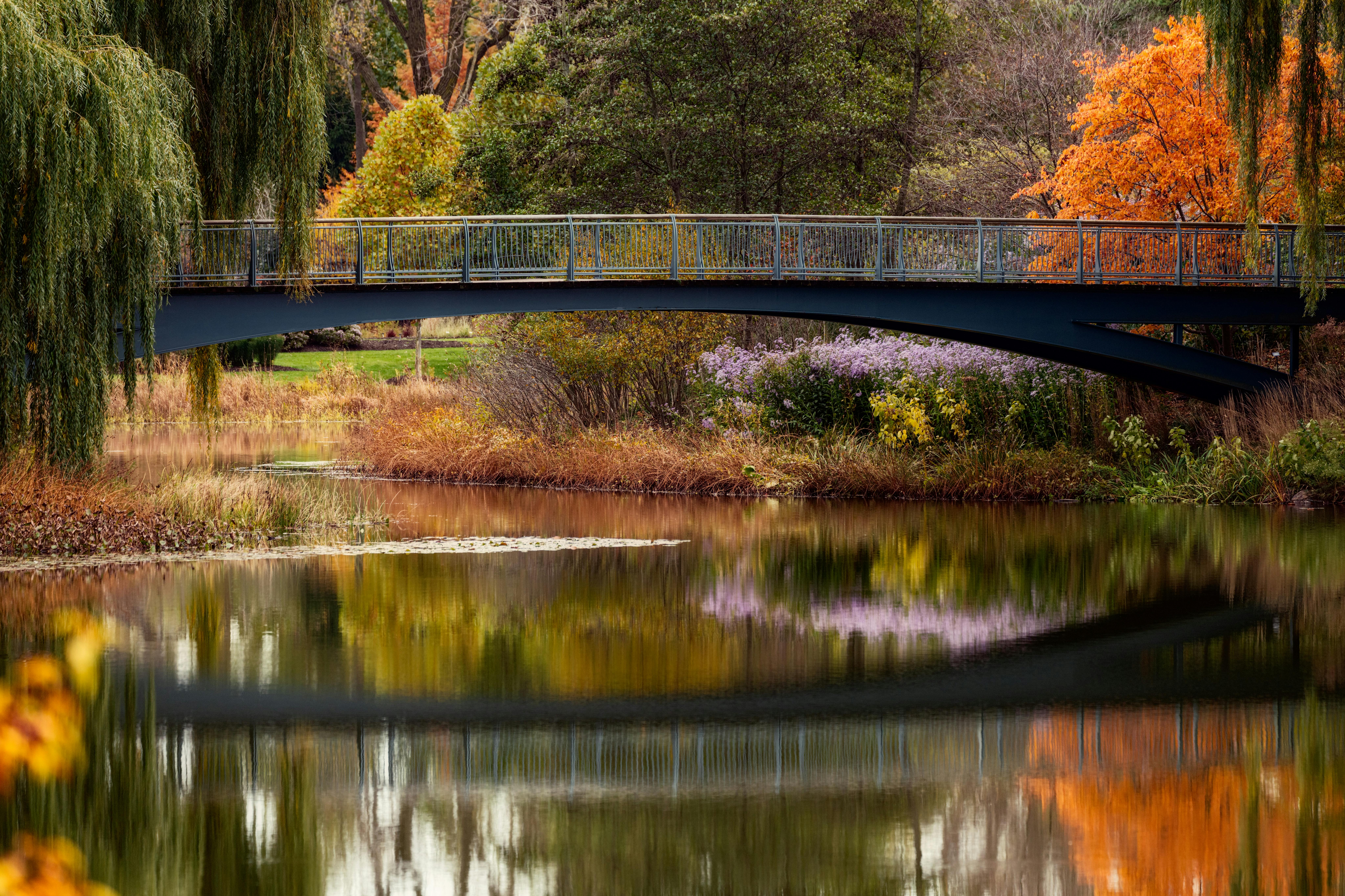 Narrow footbridge crossing calm lake in abundant autumn park · Free ...