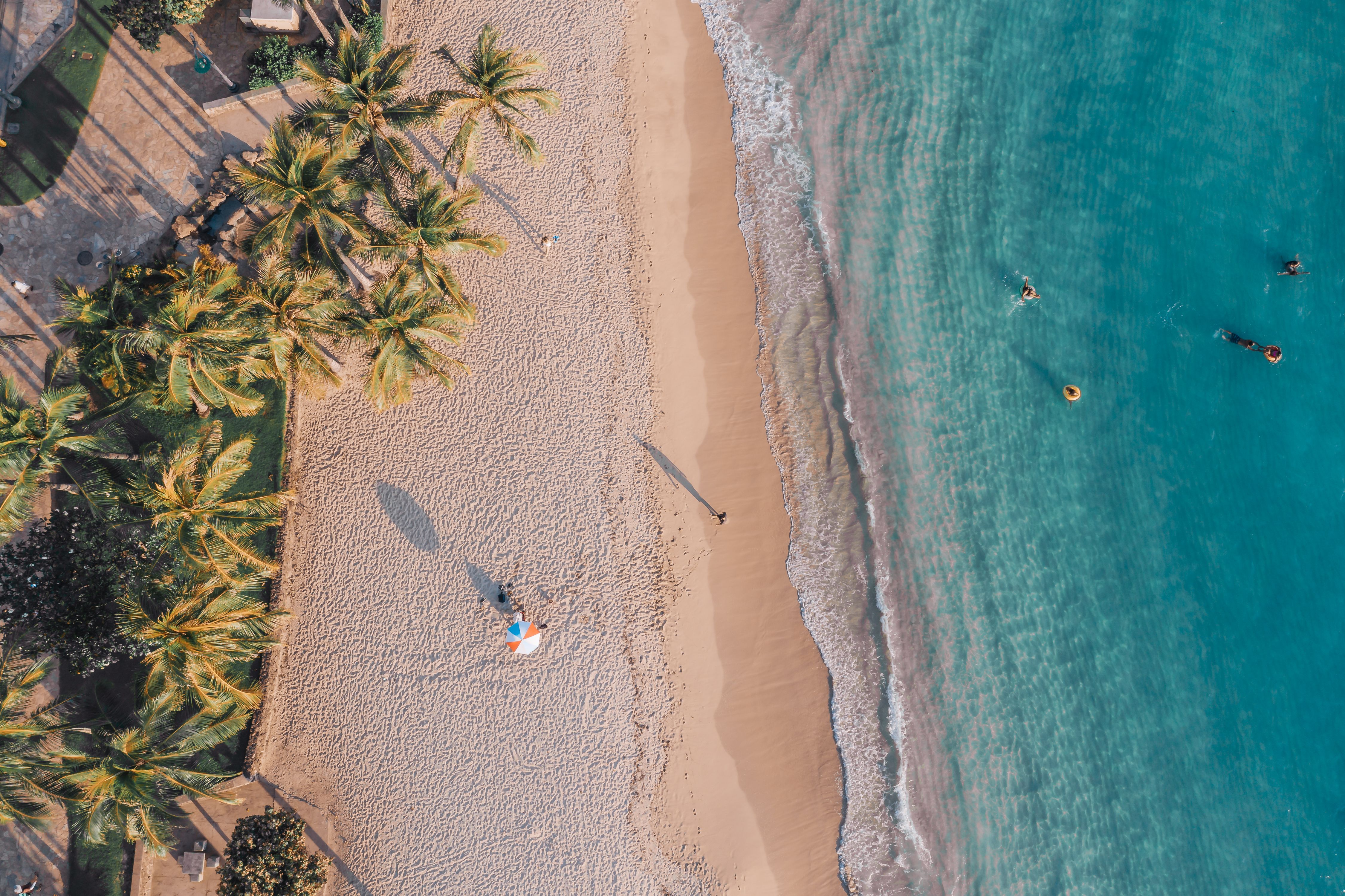 Aerial View of People Swimming on Beach · Free Stock Photo