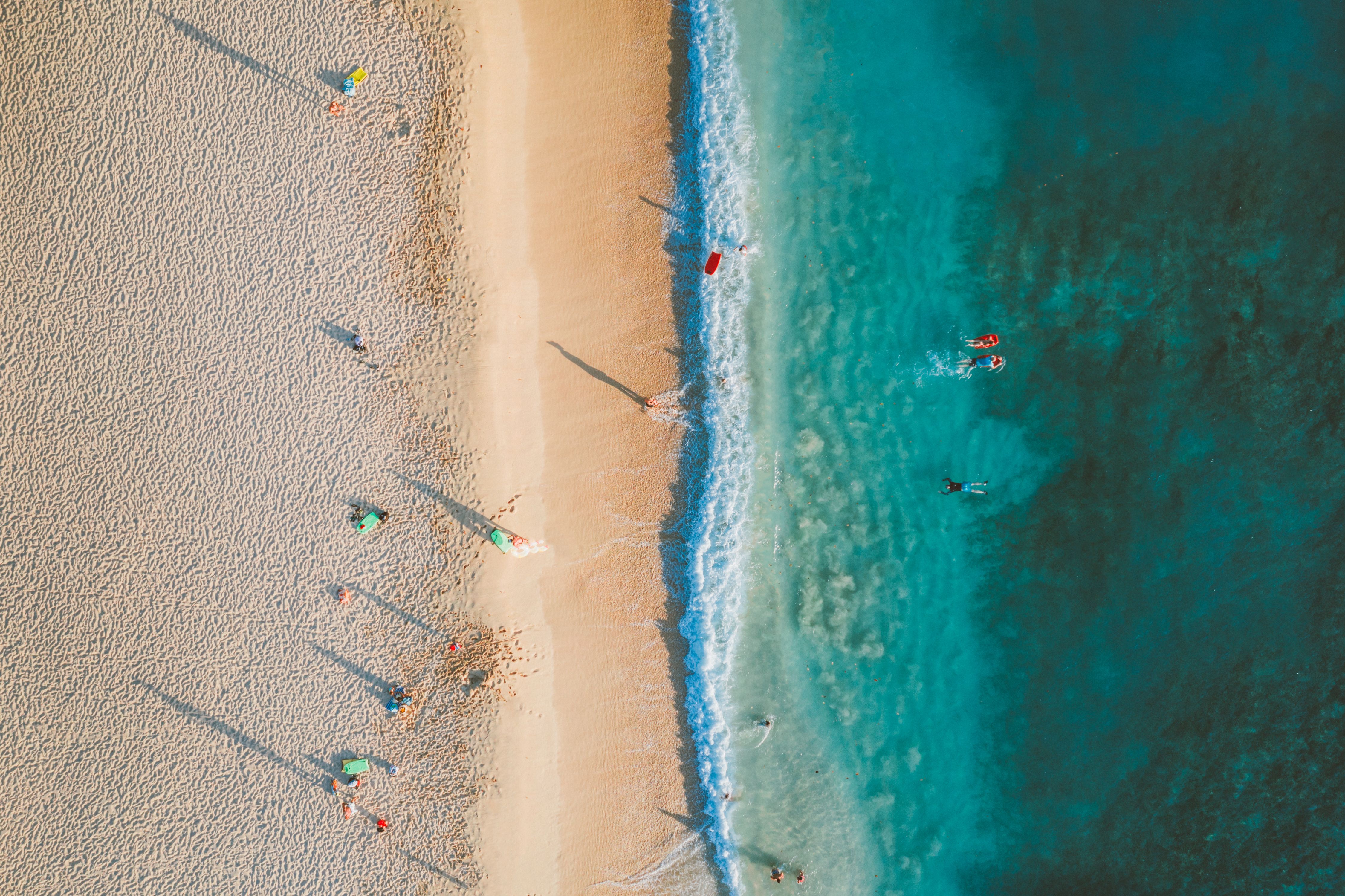 Aerial View of People Swimming on Beach · Free Stock Photo