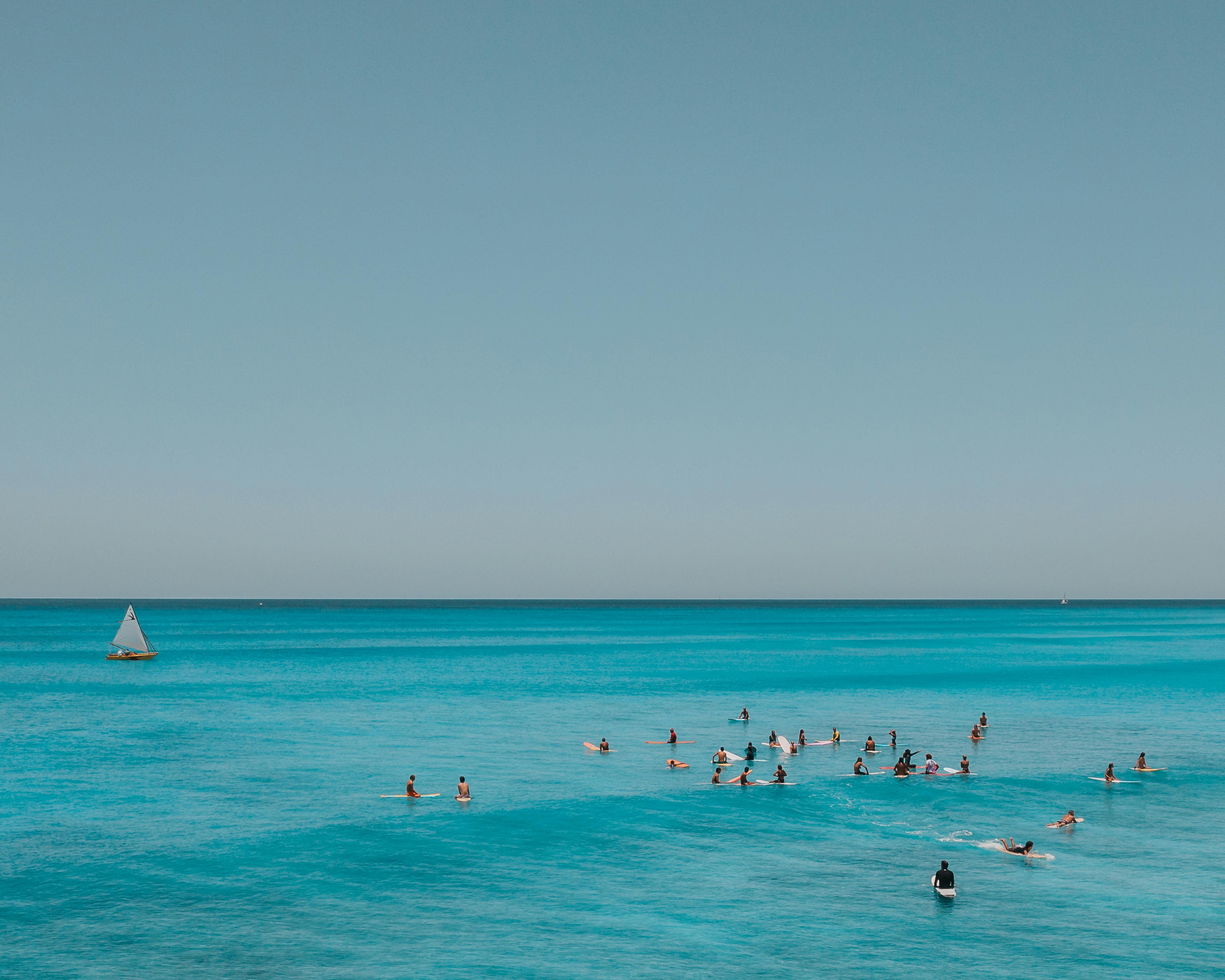 People on Beach during Sunset · Free Stock Photo