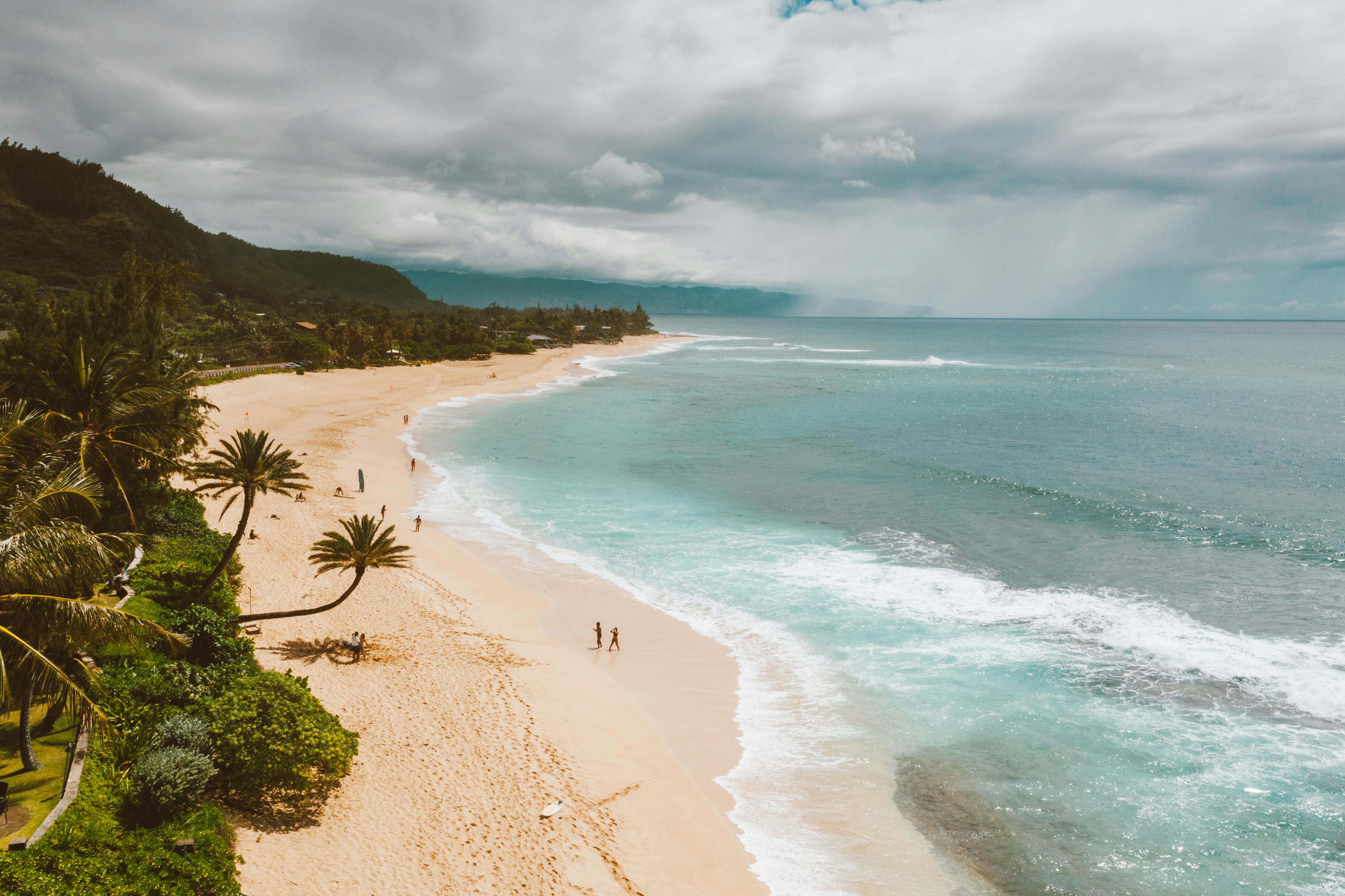 Green Trees Near Beach Water · Free Stock Photo