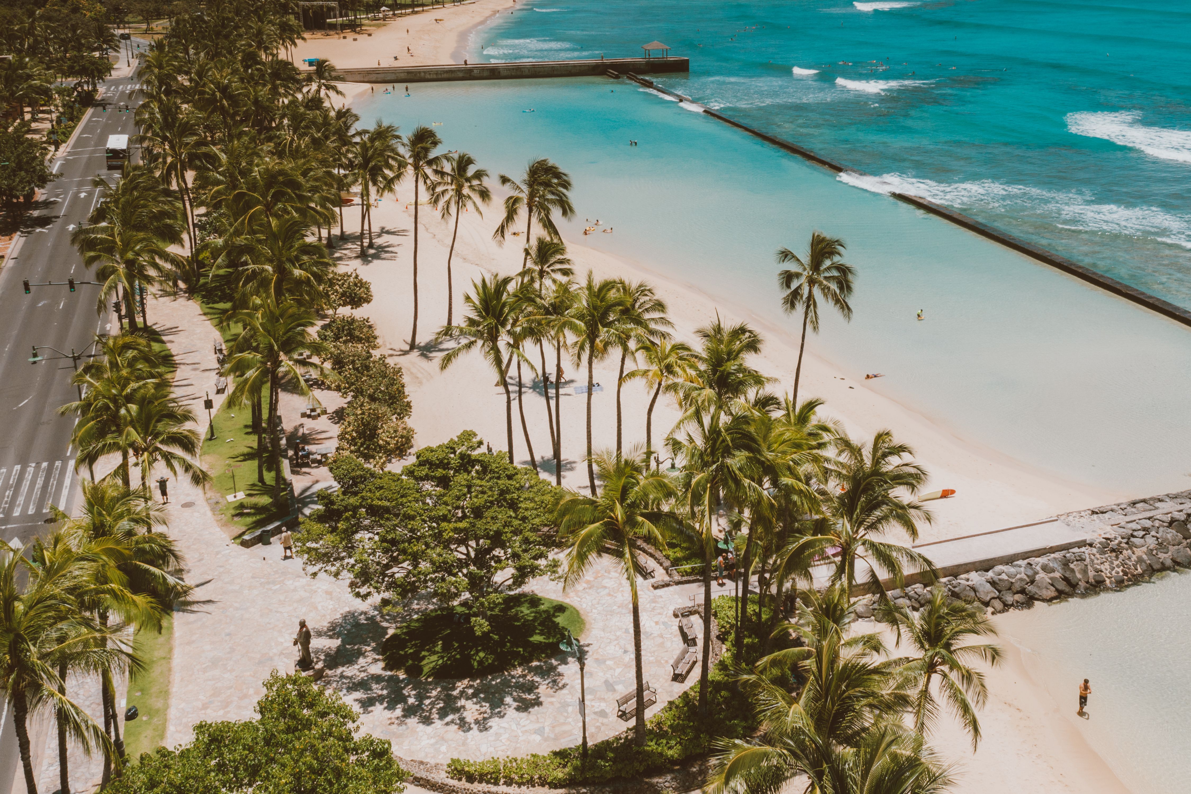 Green Trees Near Beach Water · Free Stock Photo
