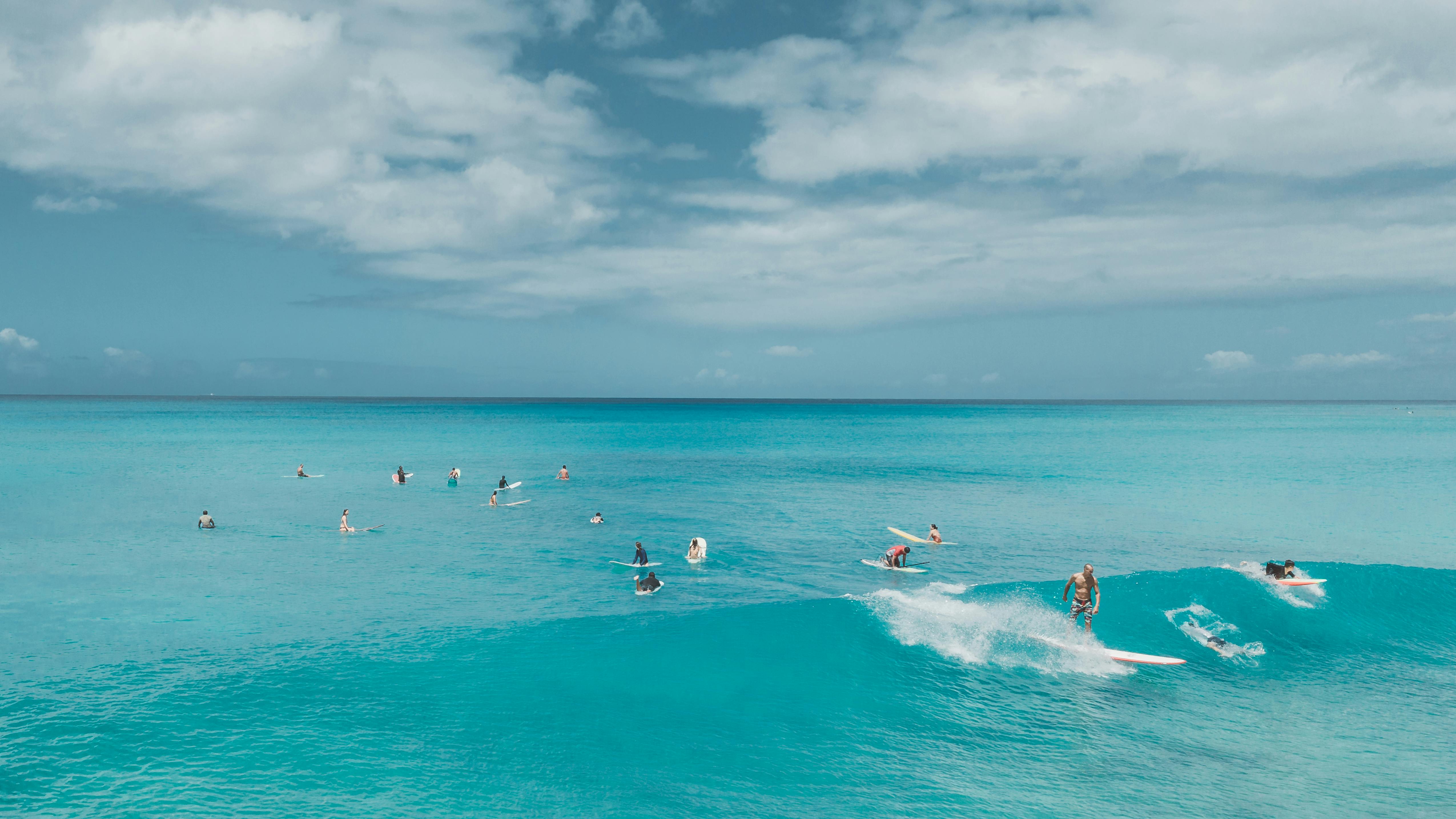 Aerial View of People Swimming on Sea · Free Stock Photo