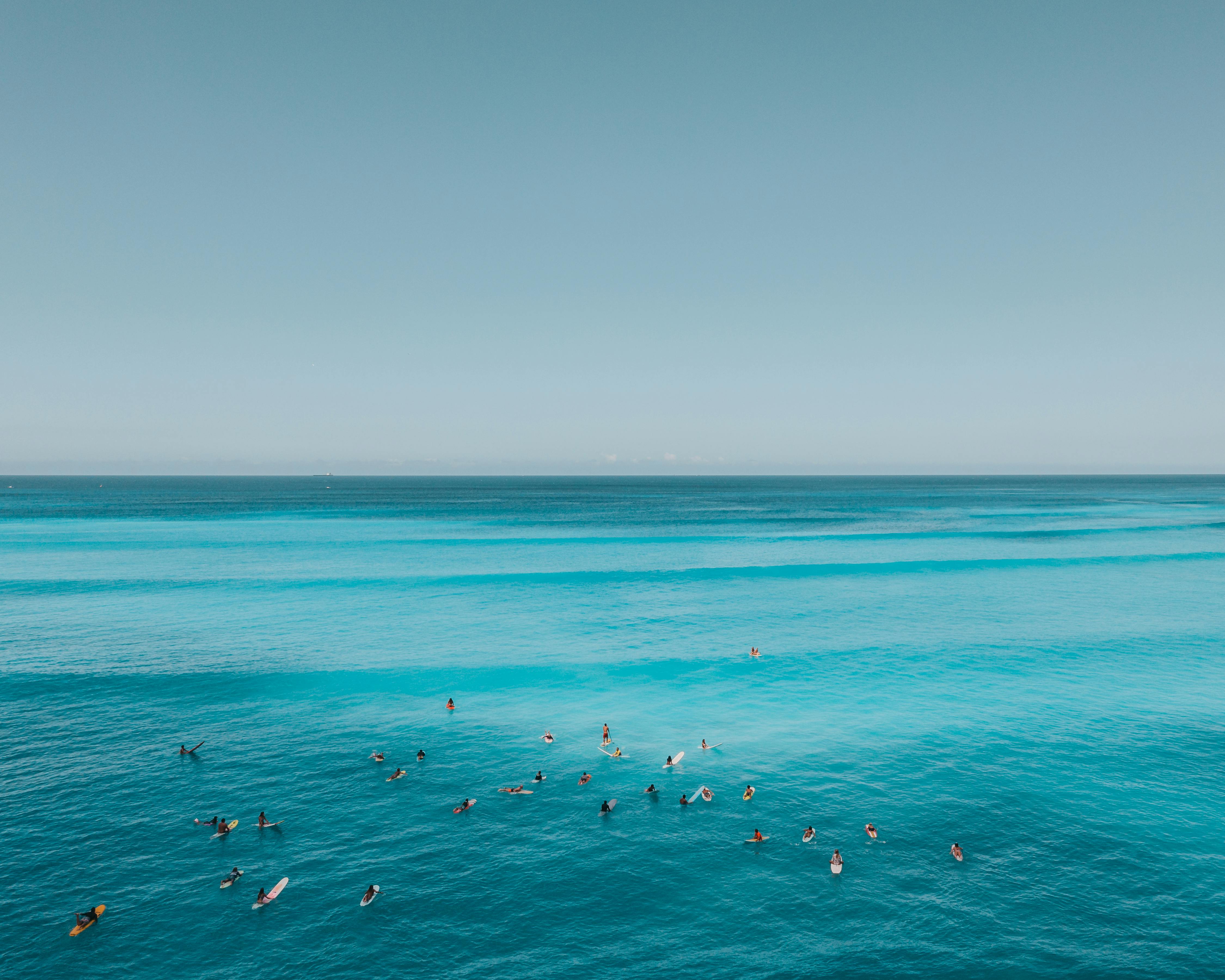 People Swimming on Sea · Free Stock Photo
