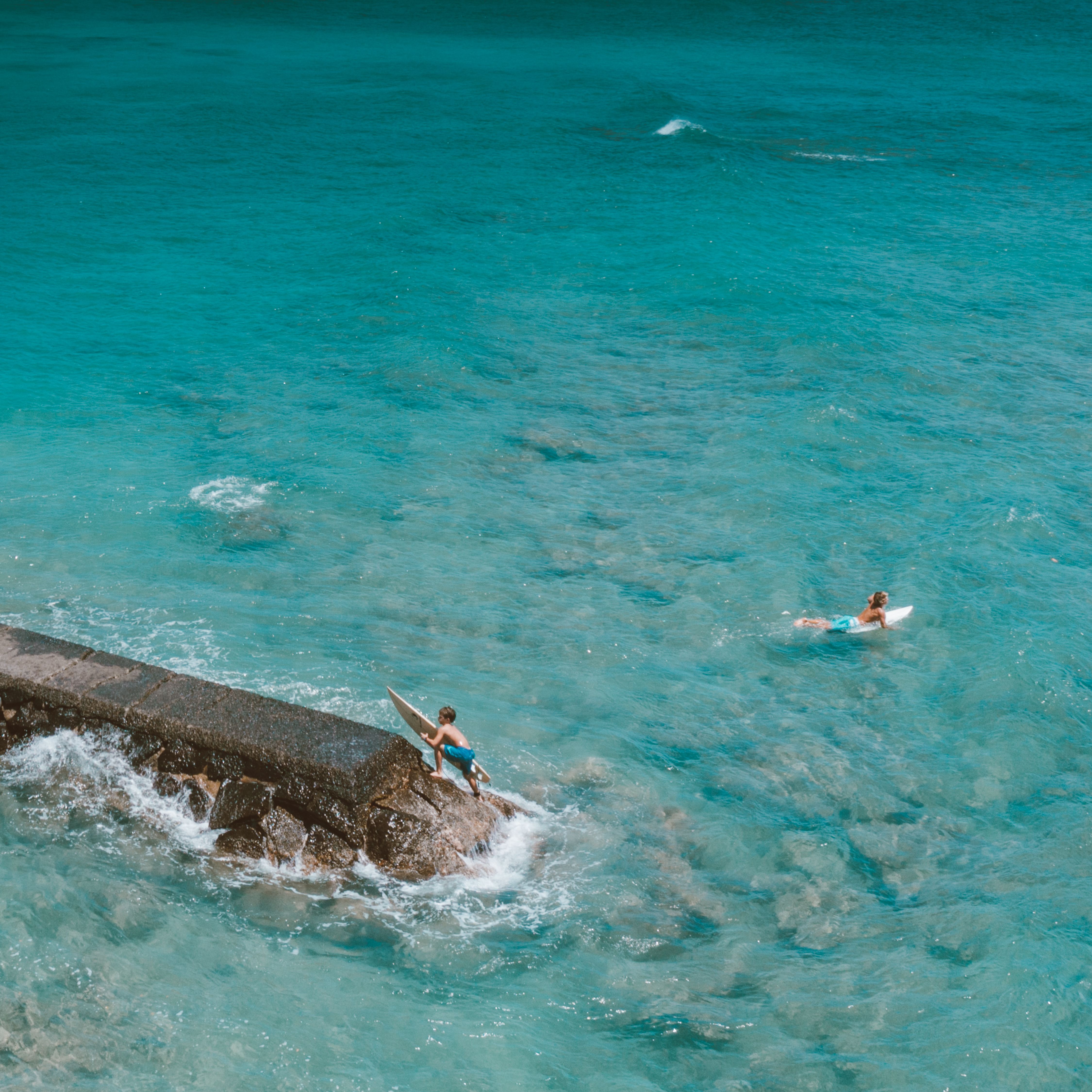 People Swimming on Sea · Free Stock Photo