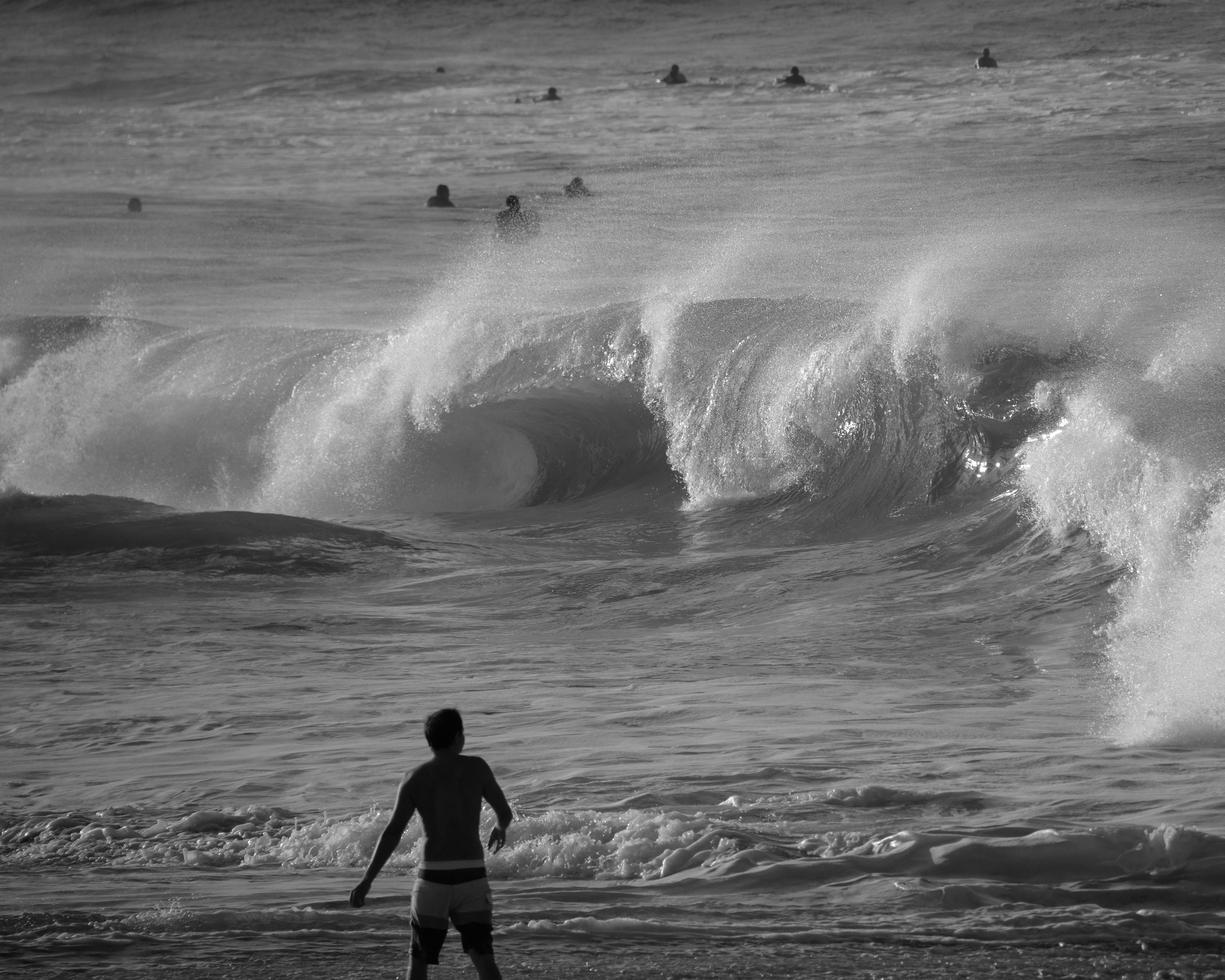 100+ Best Hurricane Photos · 100% Free Download · Pexels Stock Photos