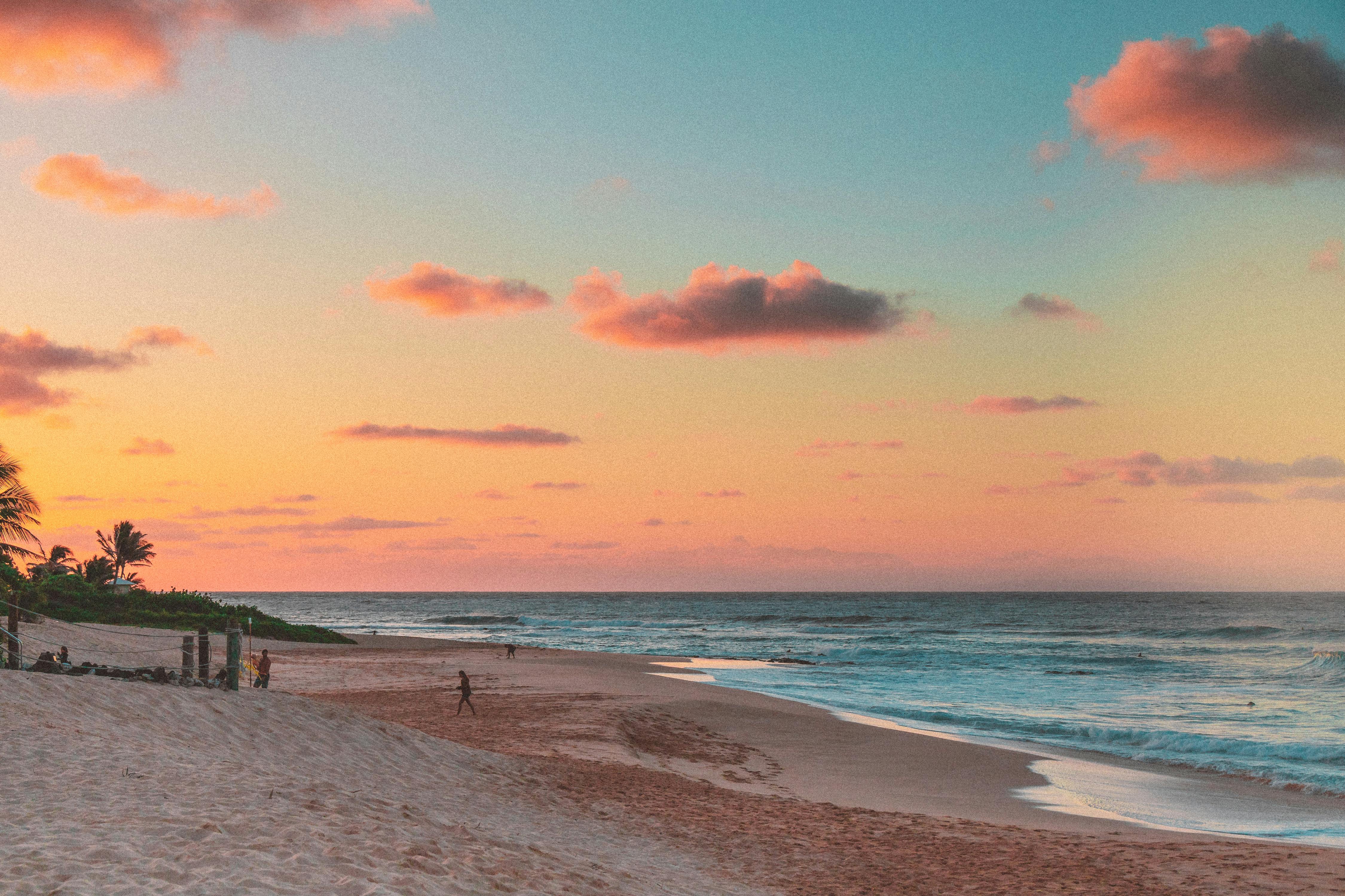 People on Beach during Sunset · Free Stock Photo