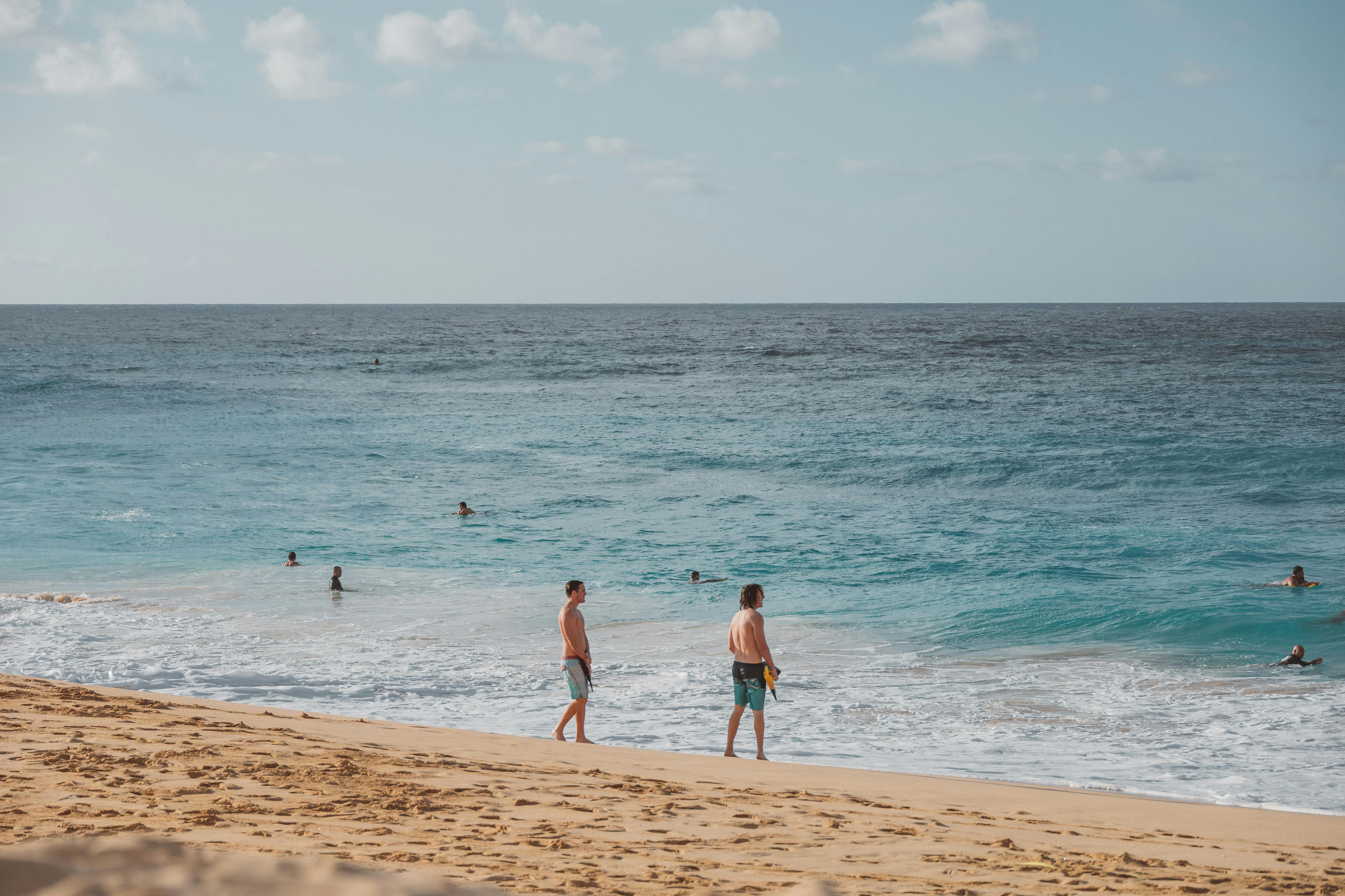 People on Beach · Free Stock Photo