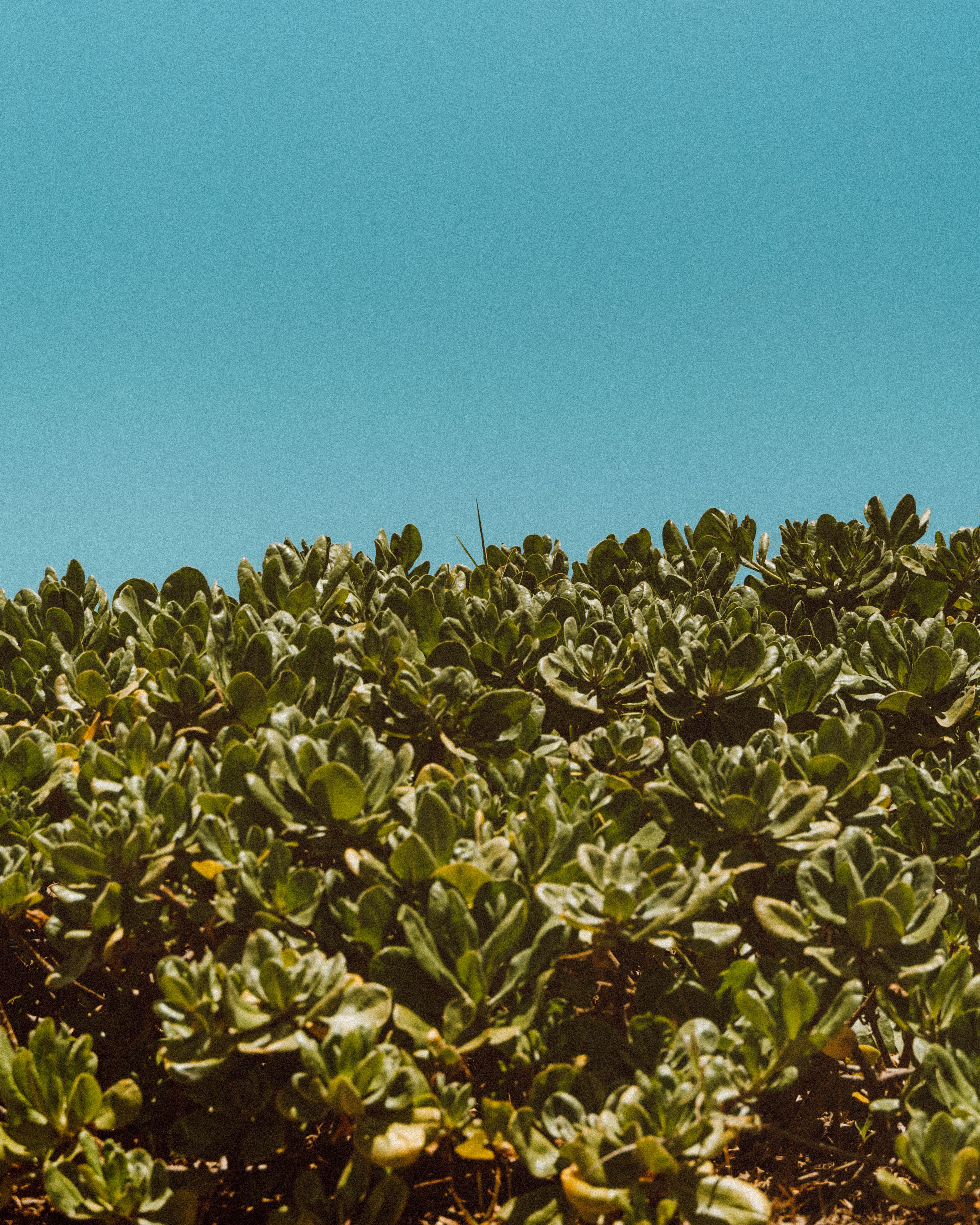 Mood Boosting Photos, Download The BEST Free Mood Boosting Stock Photos ...