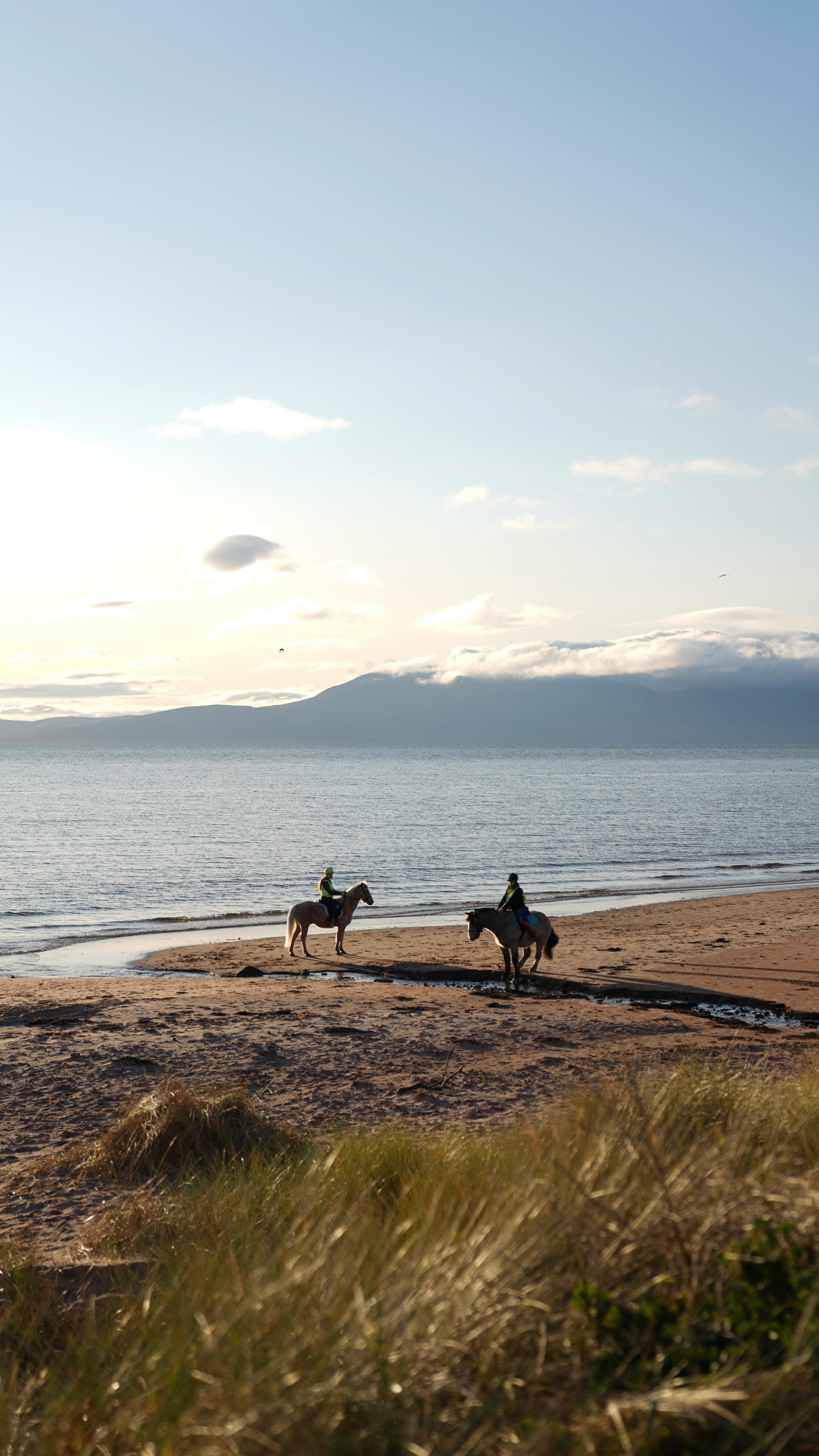 People Riding Horses on the Seashore · Free Stock Photo