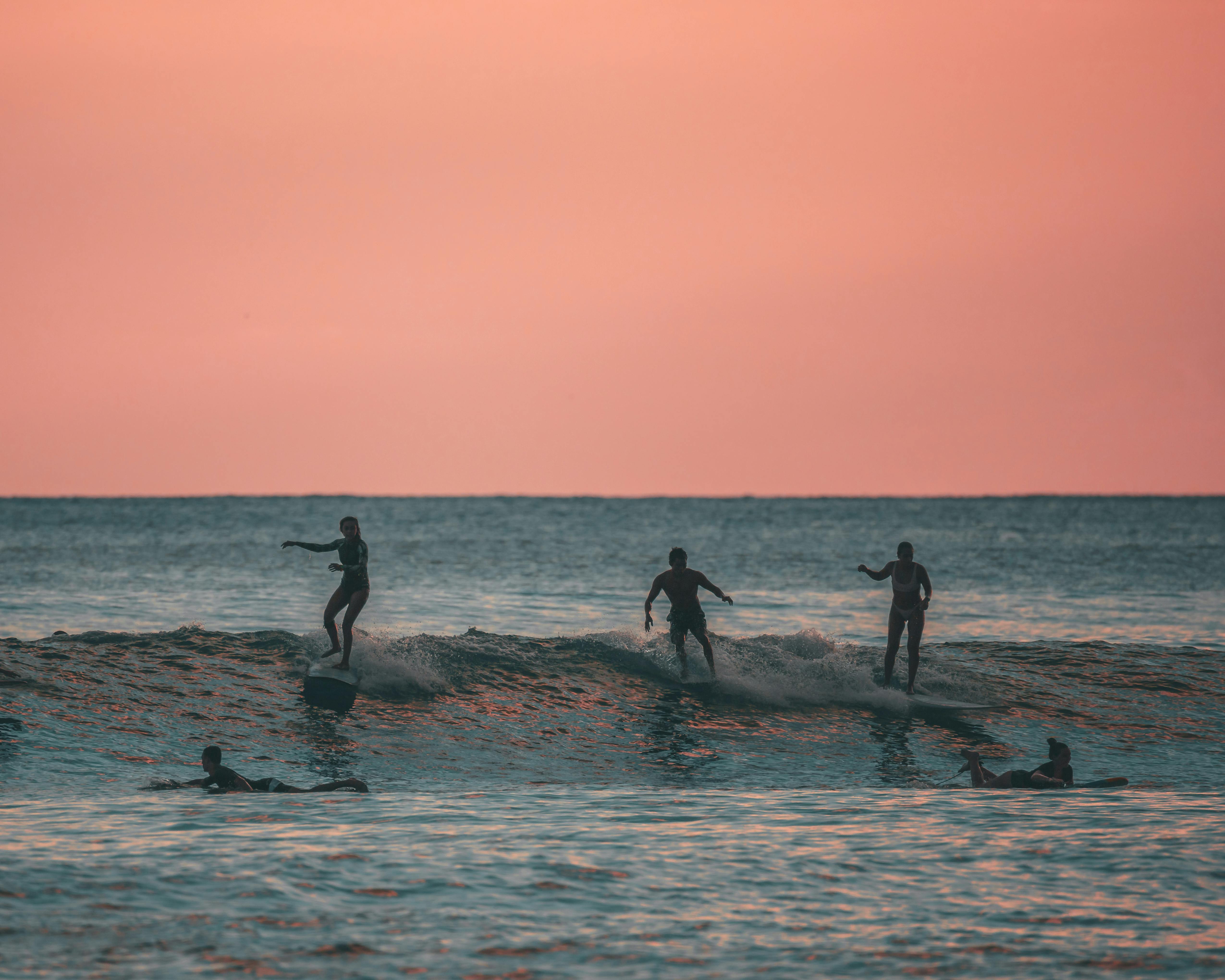 People on Beach during Sunset · Free Stock Photo