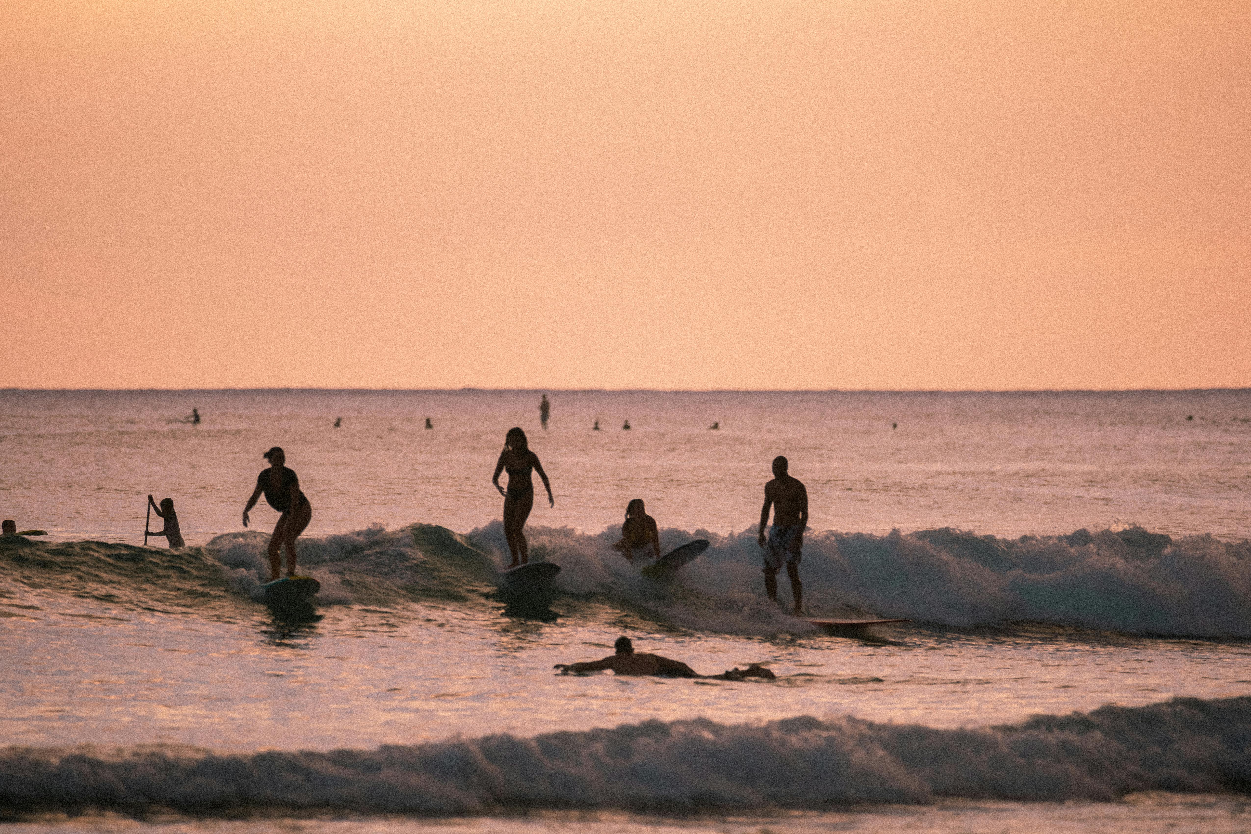 People on Beach during Sunset · Free Stock Photo