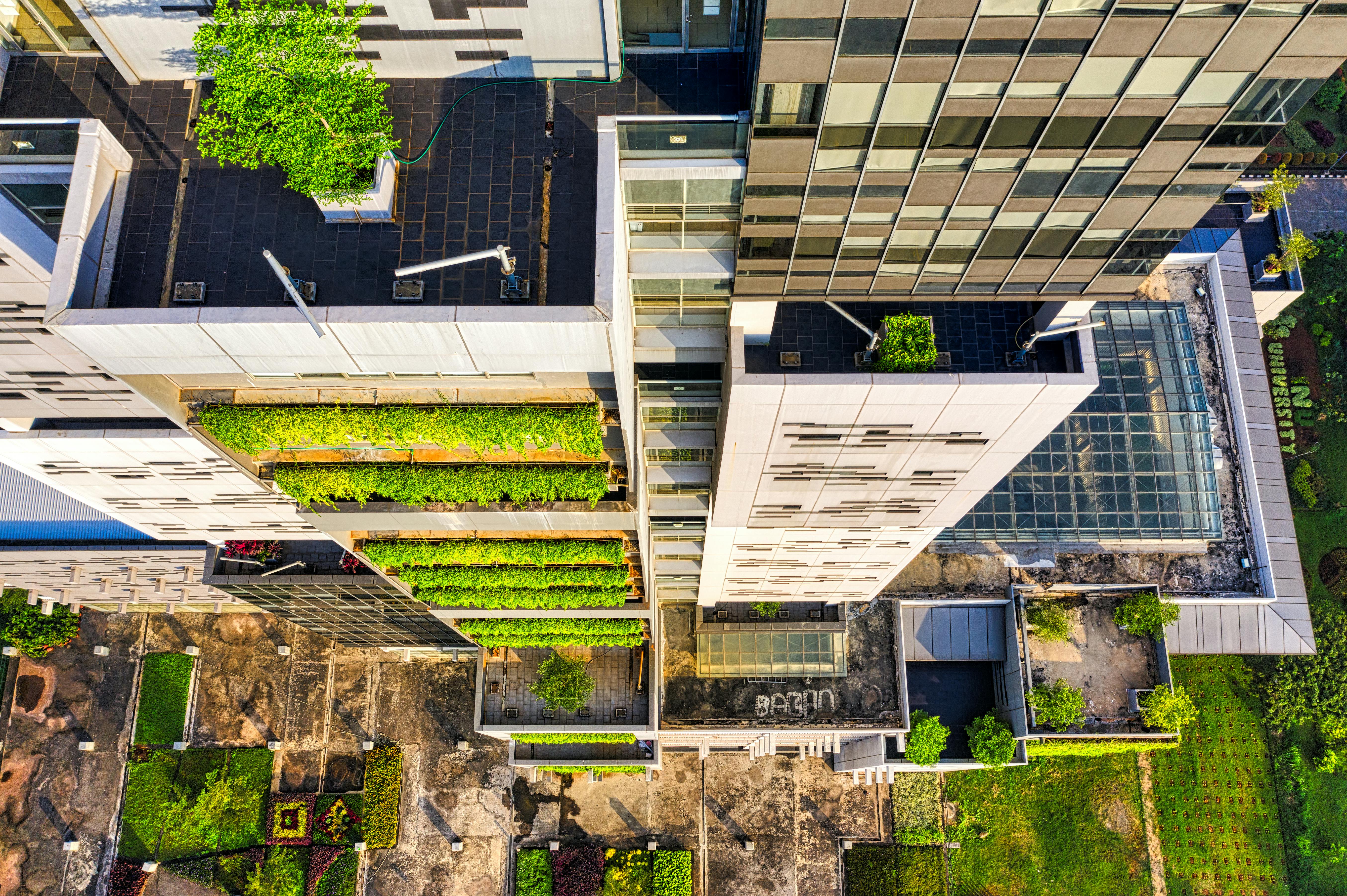 A Concrete Building with Green Plants · Free Stock Photo