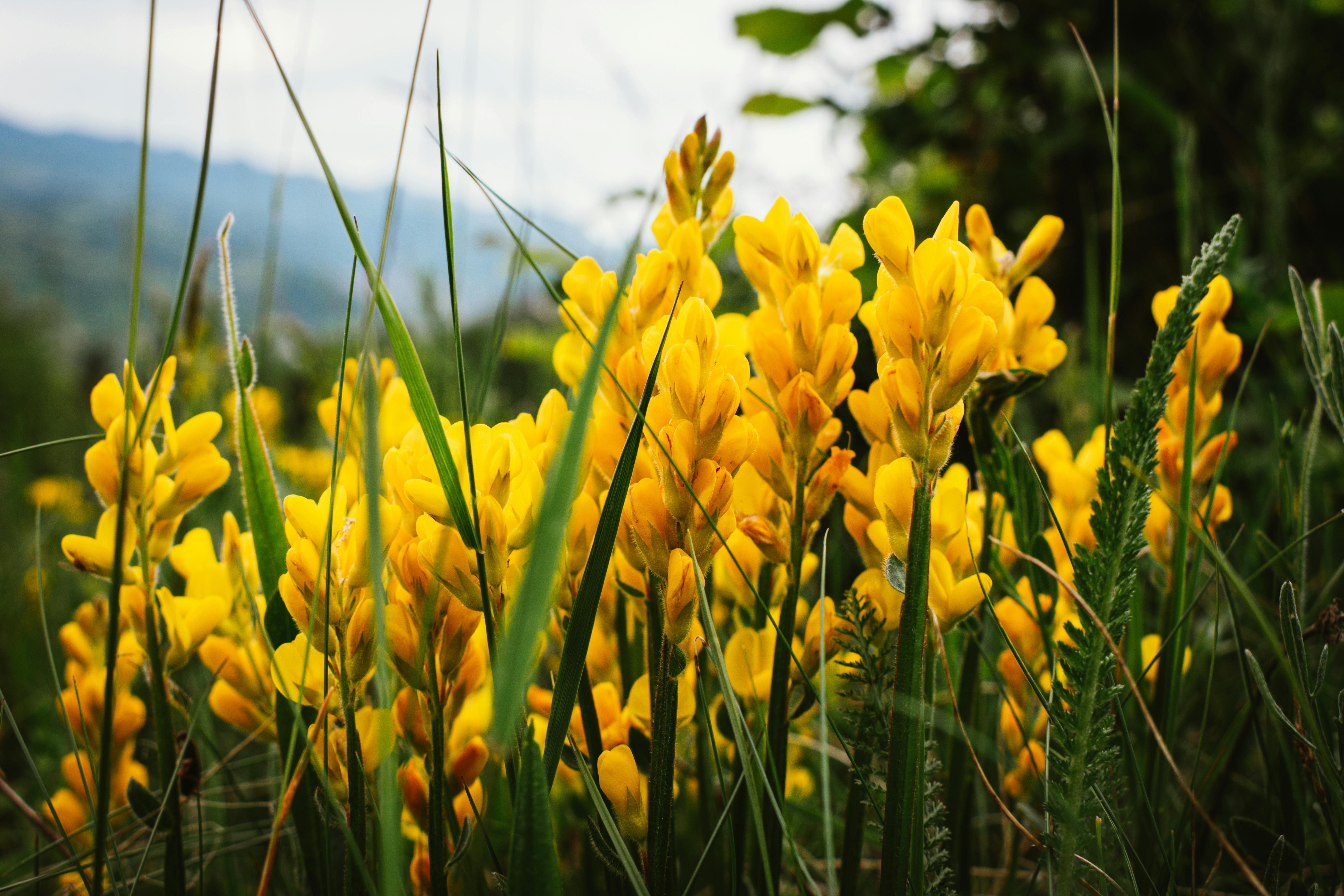 Andrei Tanase · Photography