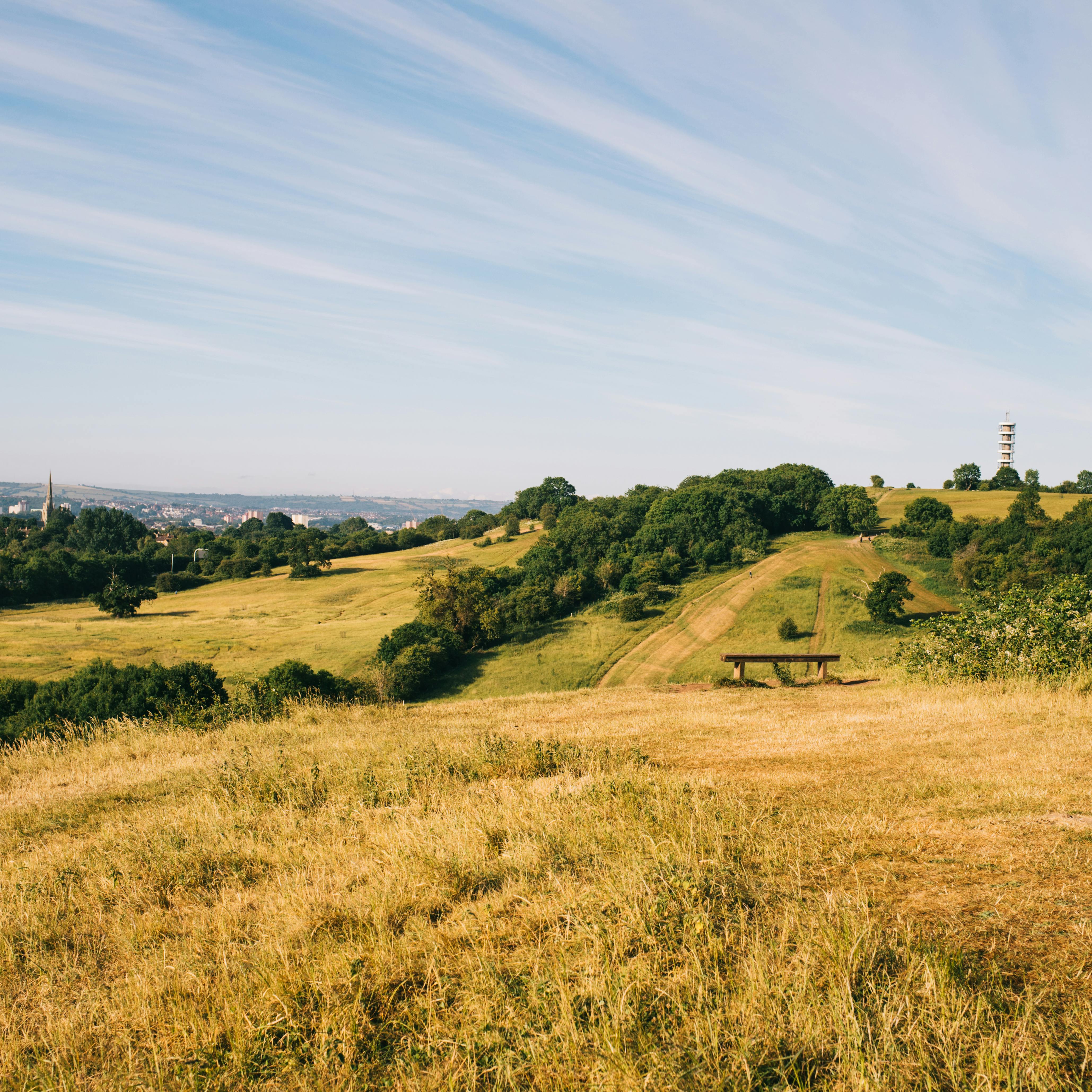 Dry golden meadow under cloudy sky · Free Stock Photo