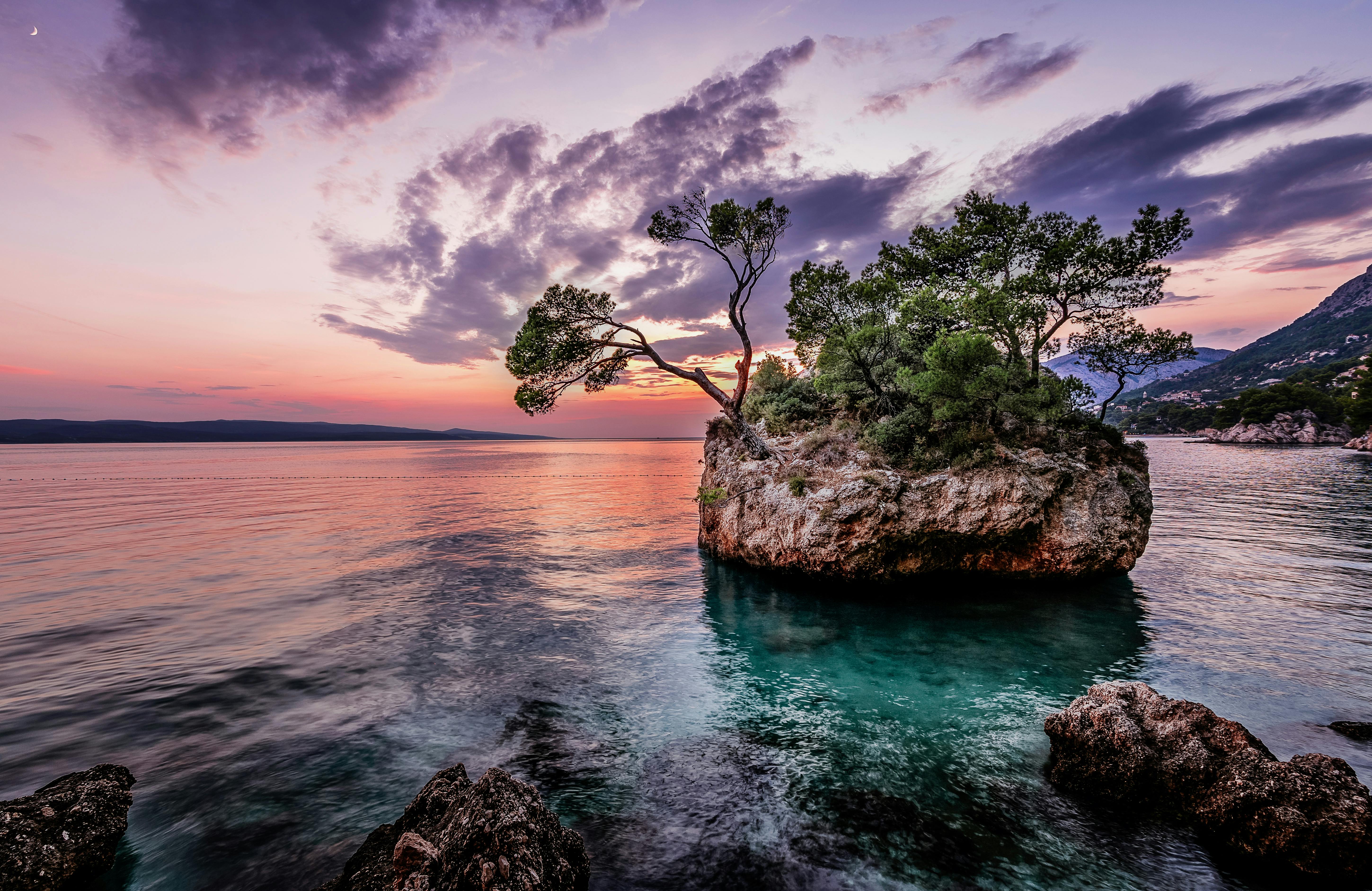 An Island with Trees · Free Stock Photo