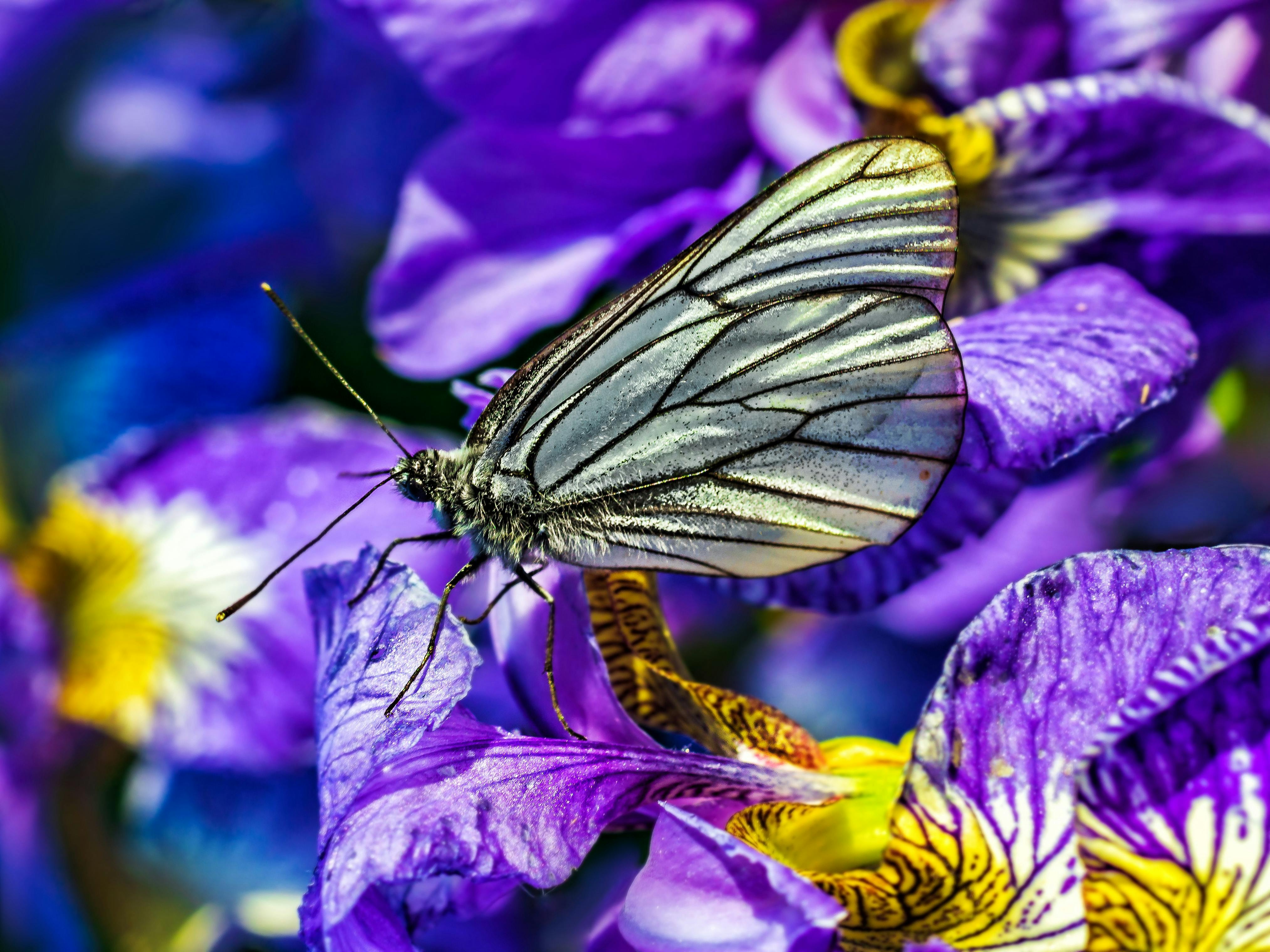 Victor - Photography