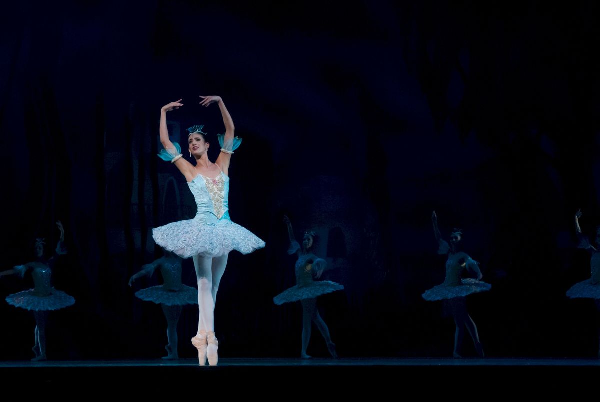 Ballet Photos, Download The BEST Free Ballet Stock Photos & HD Images