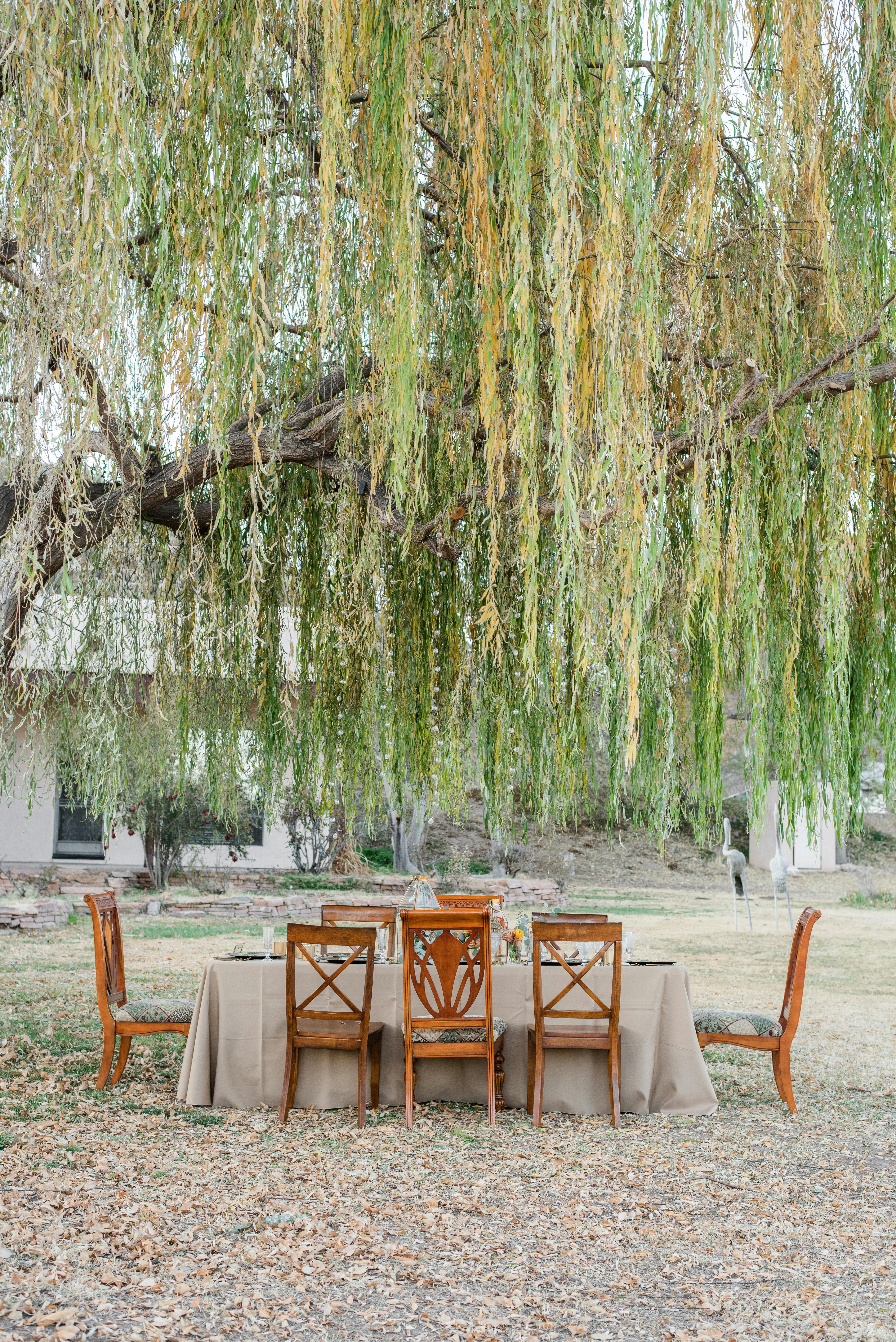 Brown Wooden Chairs and Tables Under A Tree · Free Stock Photo