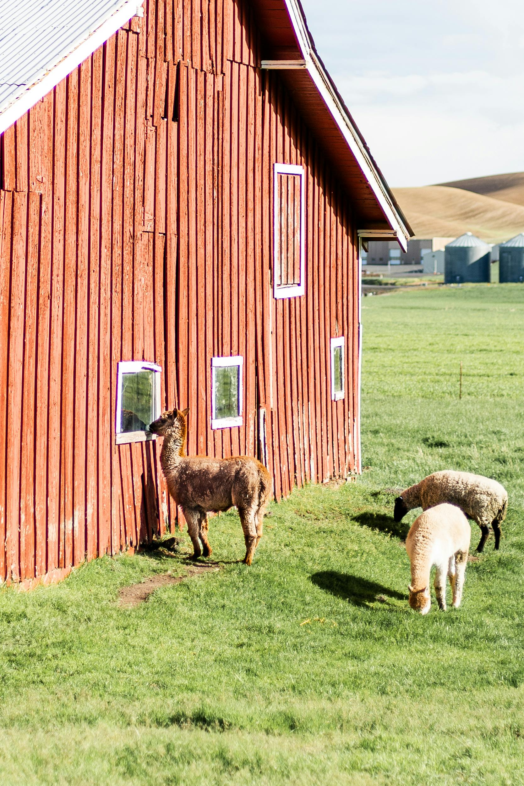 Barn Wallpaper Photos, Download The BEST Free Barn Wallpaper Stock ...