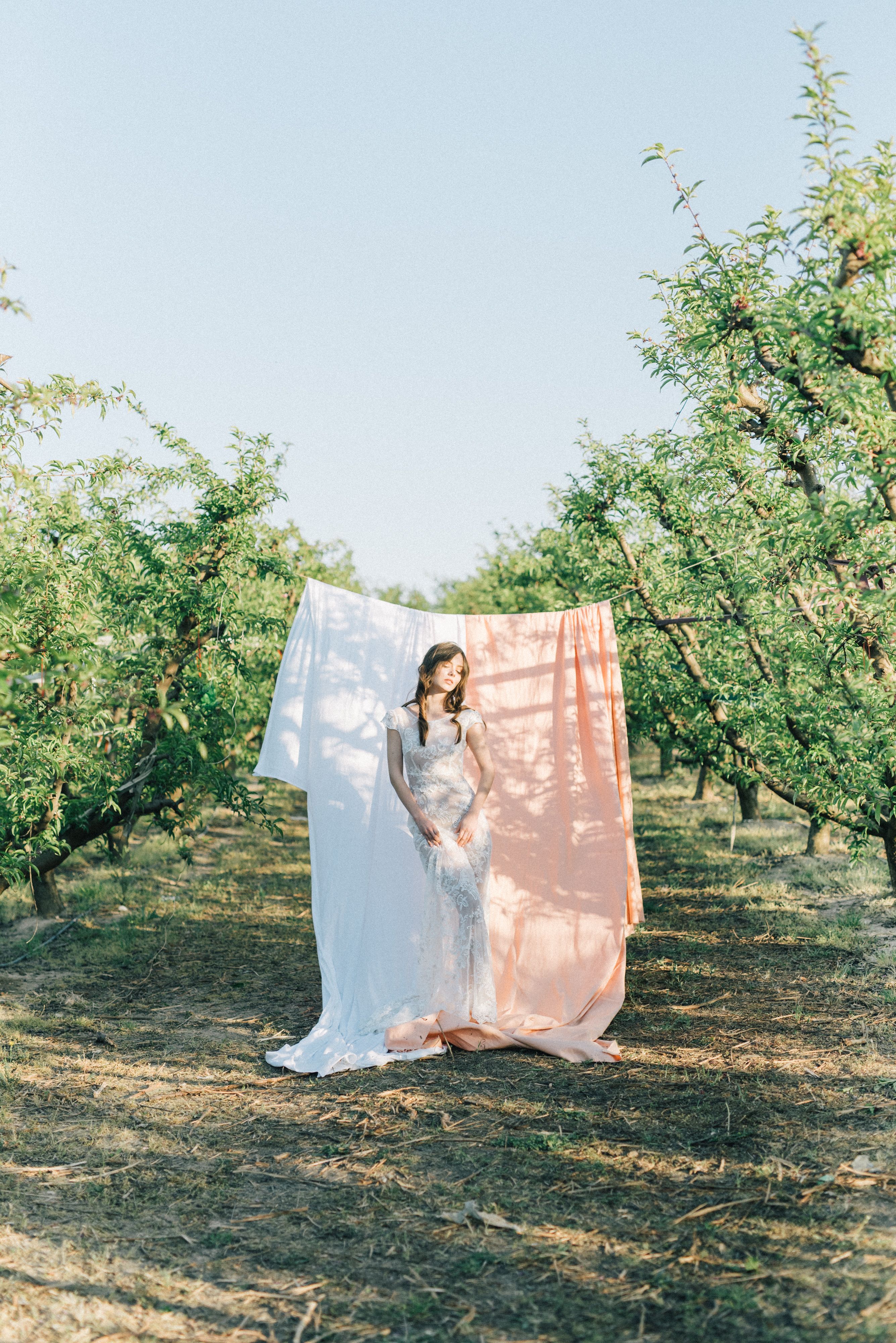 Marriage Orchard Photos, Download The BEST Free Marriage Orchard Stock ...