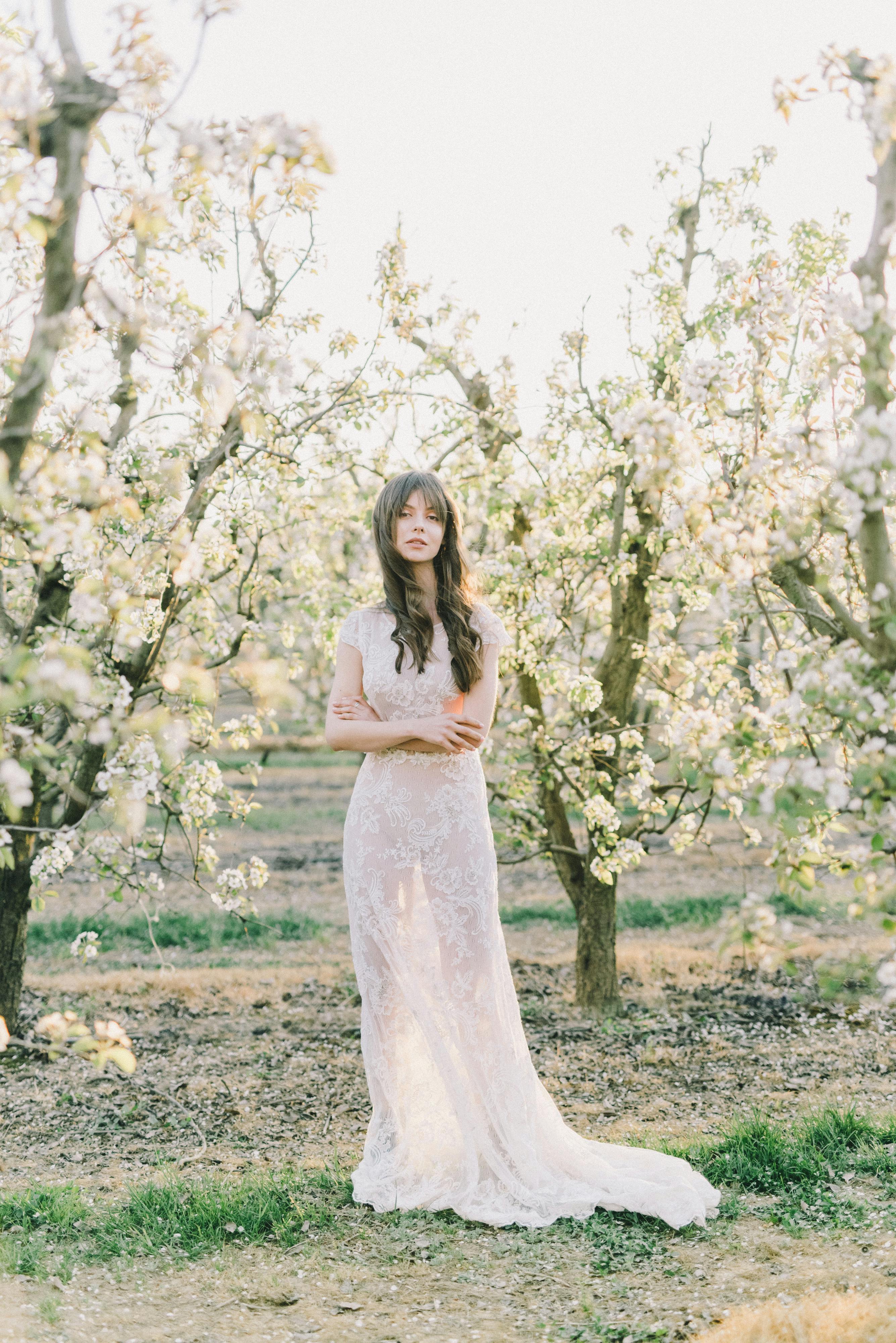 Woman in Wedding Dress · Free Stock Photo
