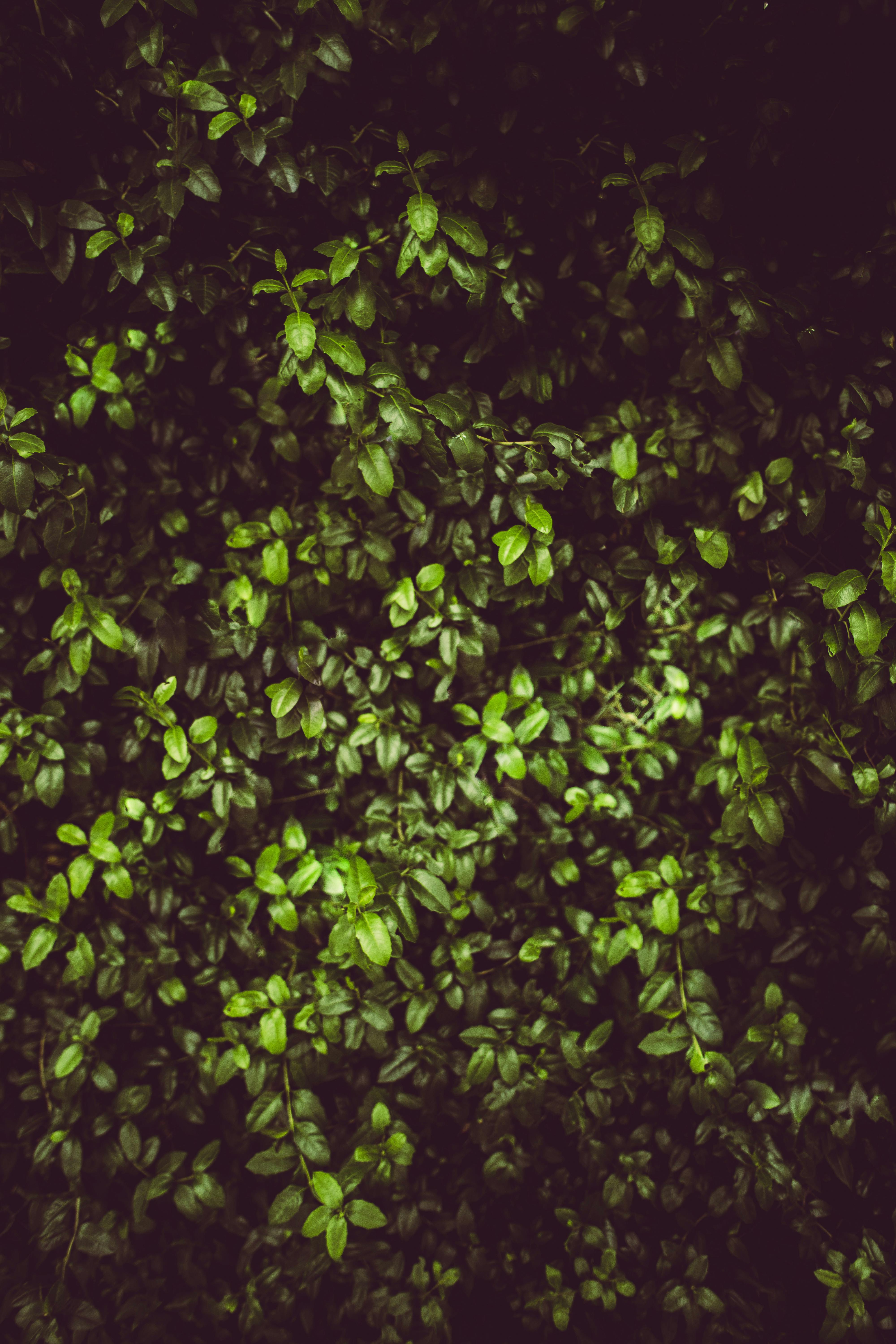 Jesus Arias - 写真