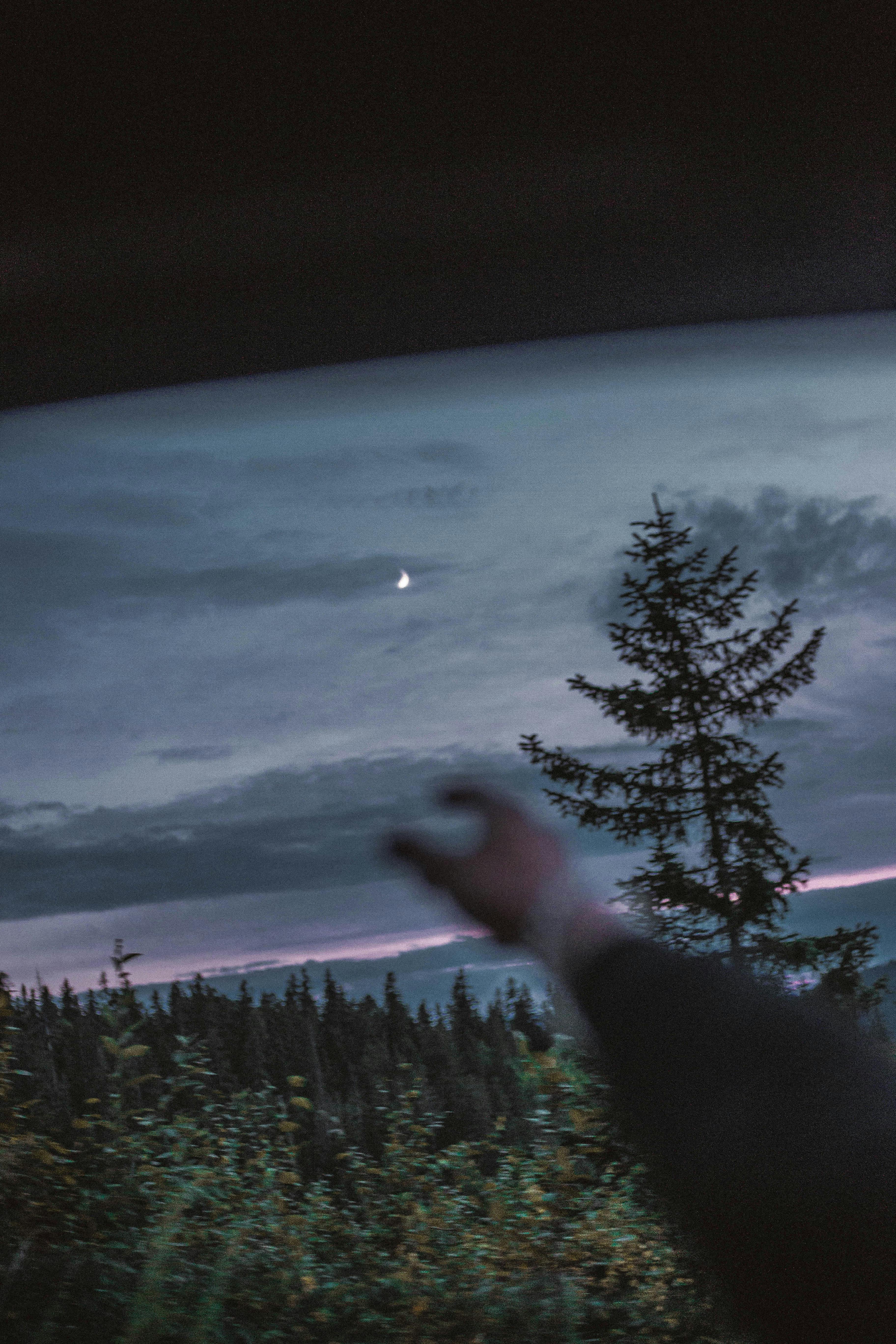 A Person Pointing Towards the Moon · Free Stock Photo