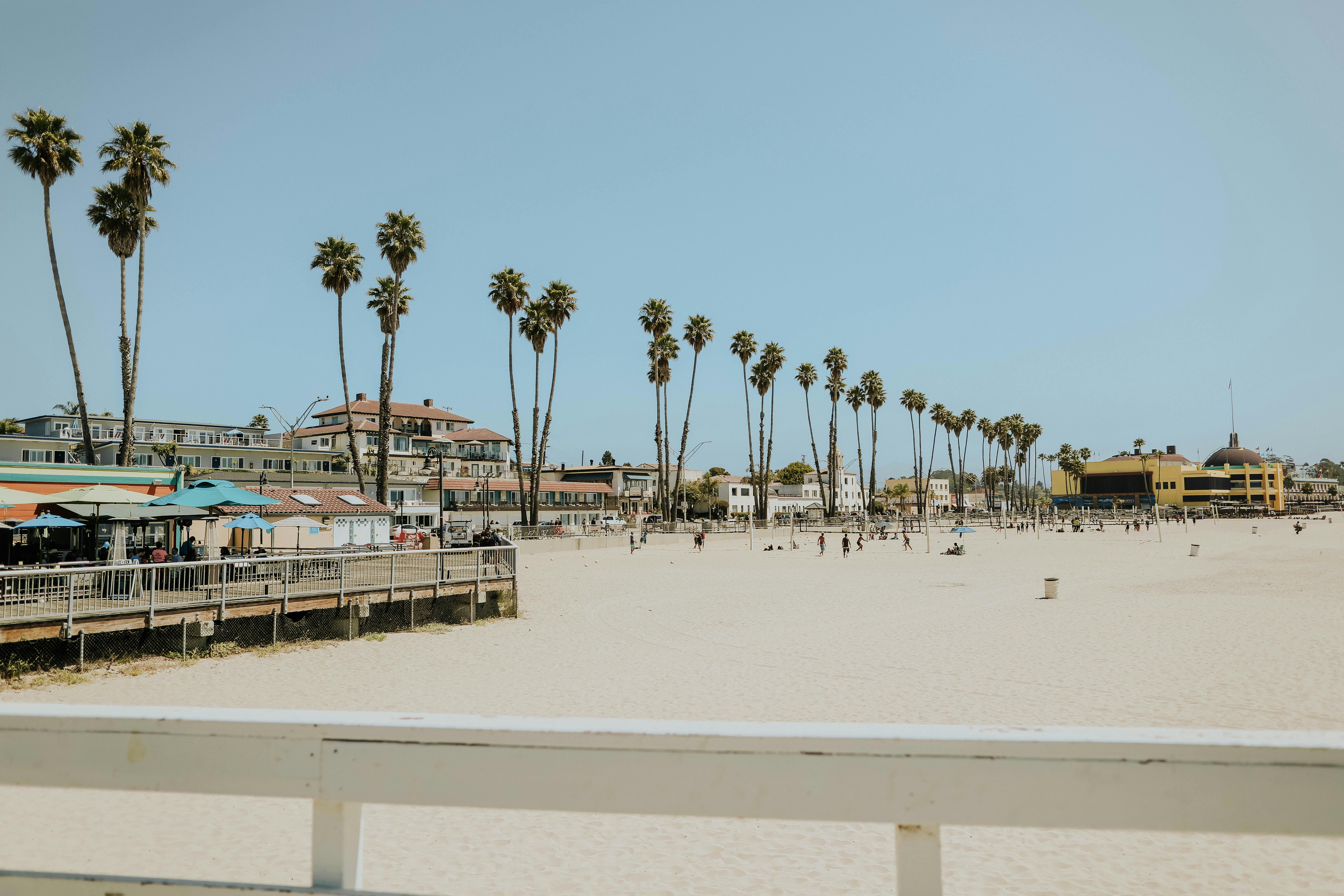 People on Sandy Beach · Free Stock Photo