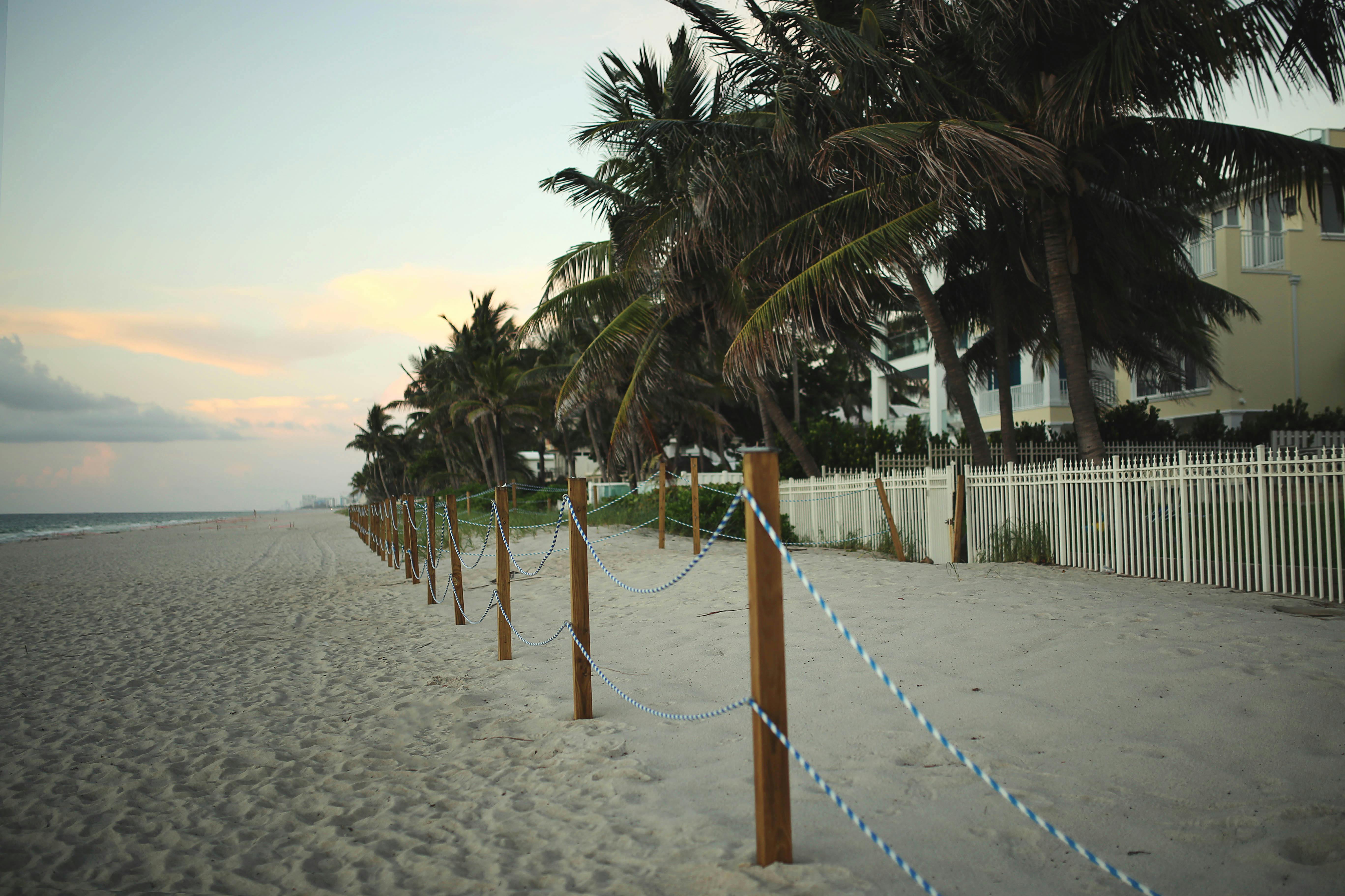 Barricade Photos, Download The BEST Free Barricade Stock Photos & HD Images