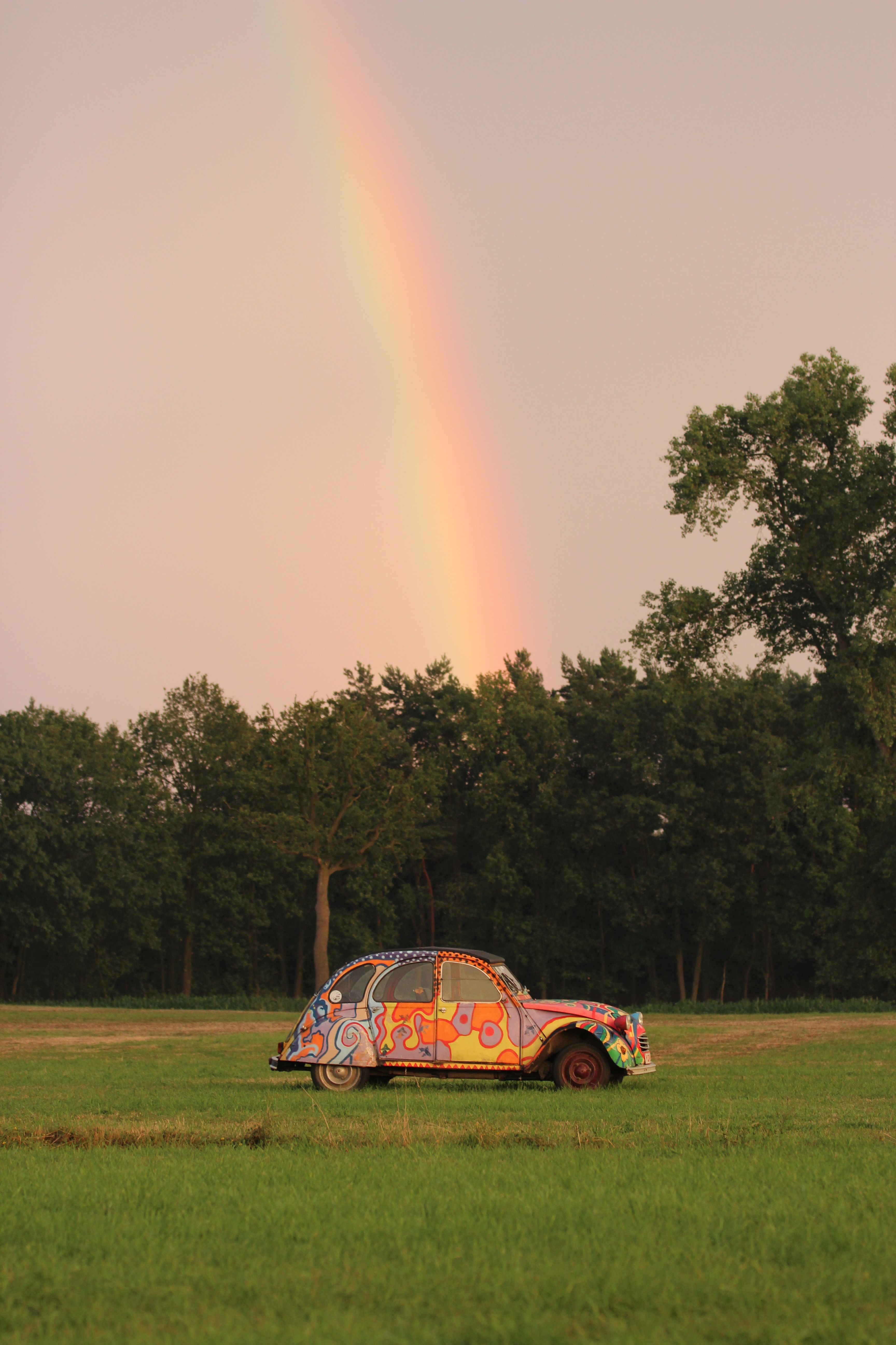 Rainbow Beetle Photos, Download The BEST Free Rainbow Beetle Stock ...