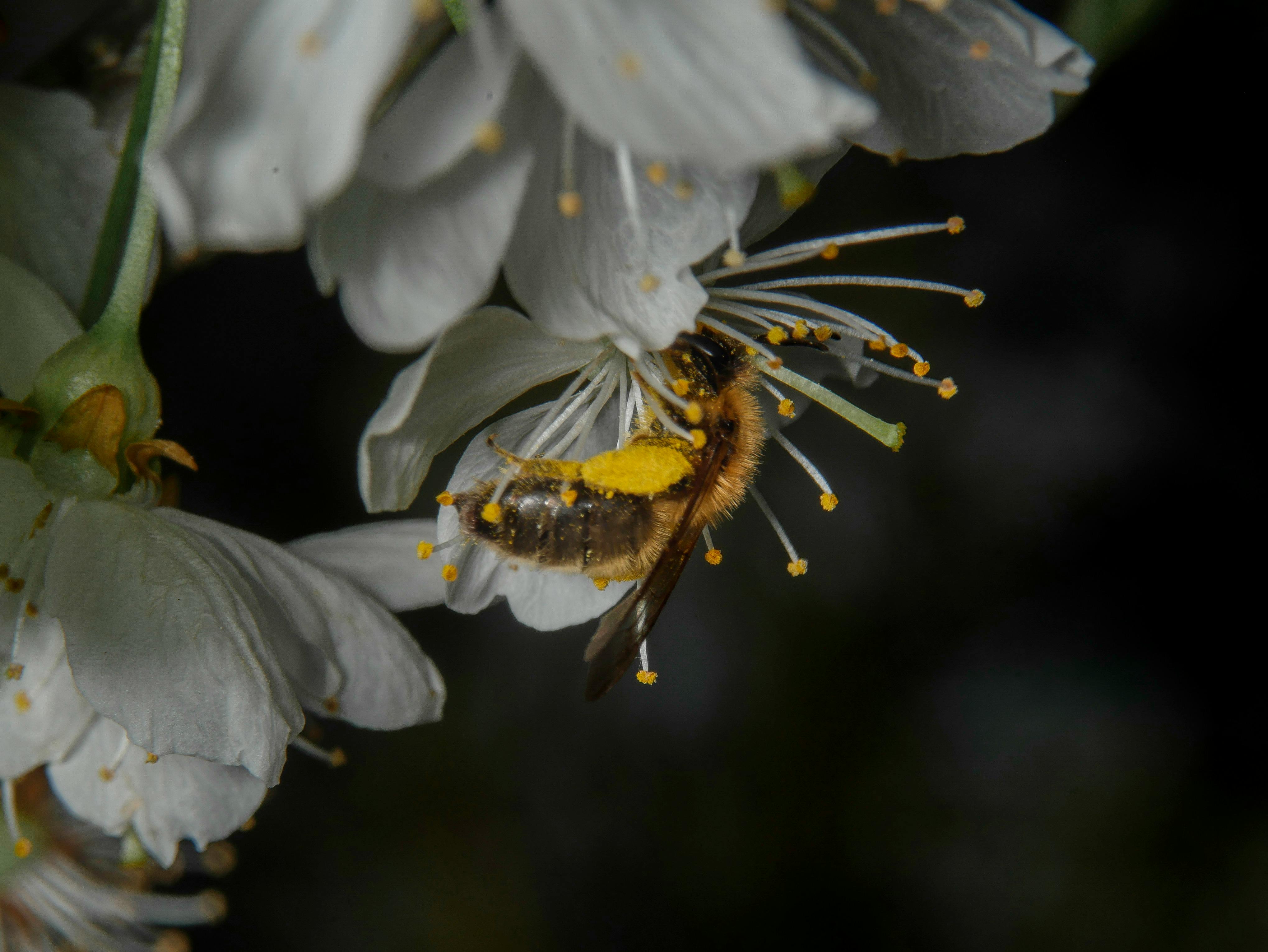 Flashed Nature 7 Photos & Videos Collected by Maxim Forster