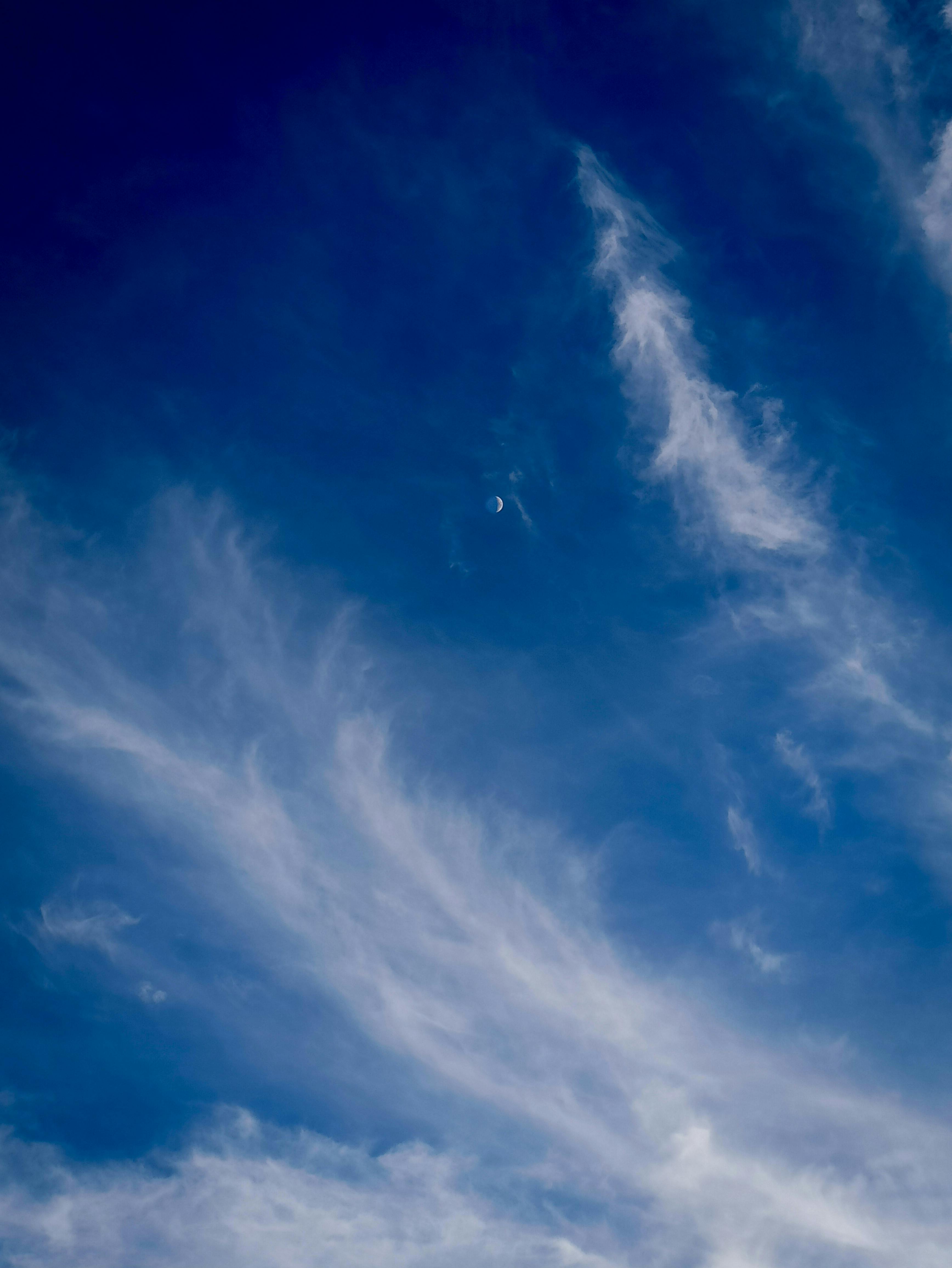 Free stock photo from The · Pexels