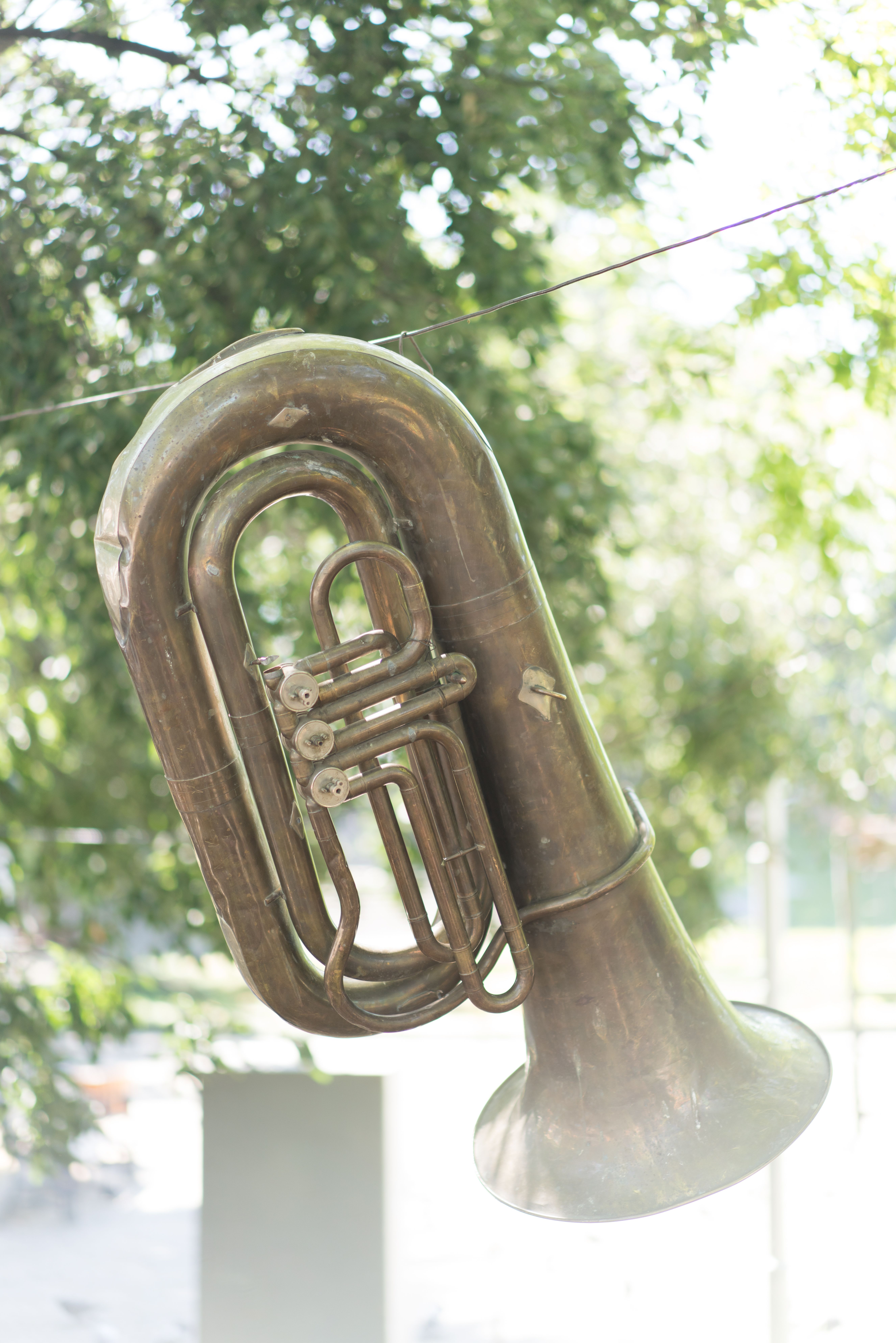 Silver Gold Musical Instrument · Free Stock Photo