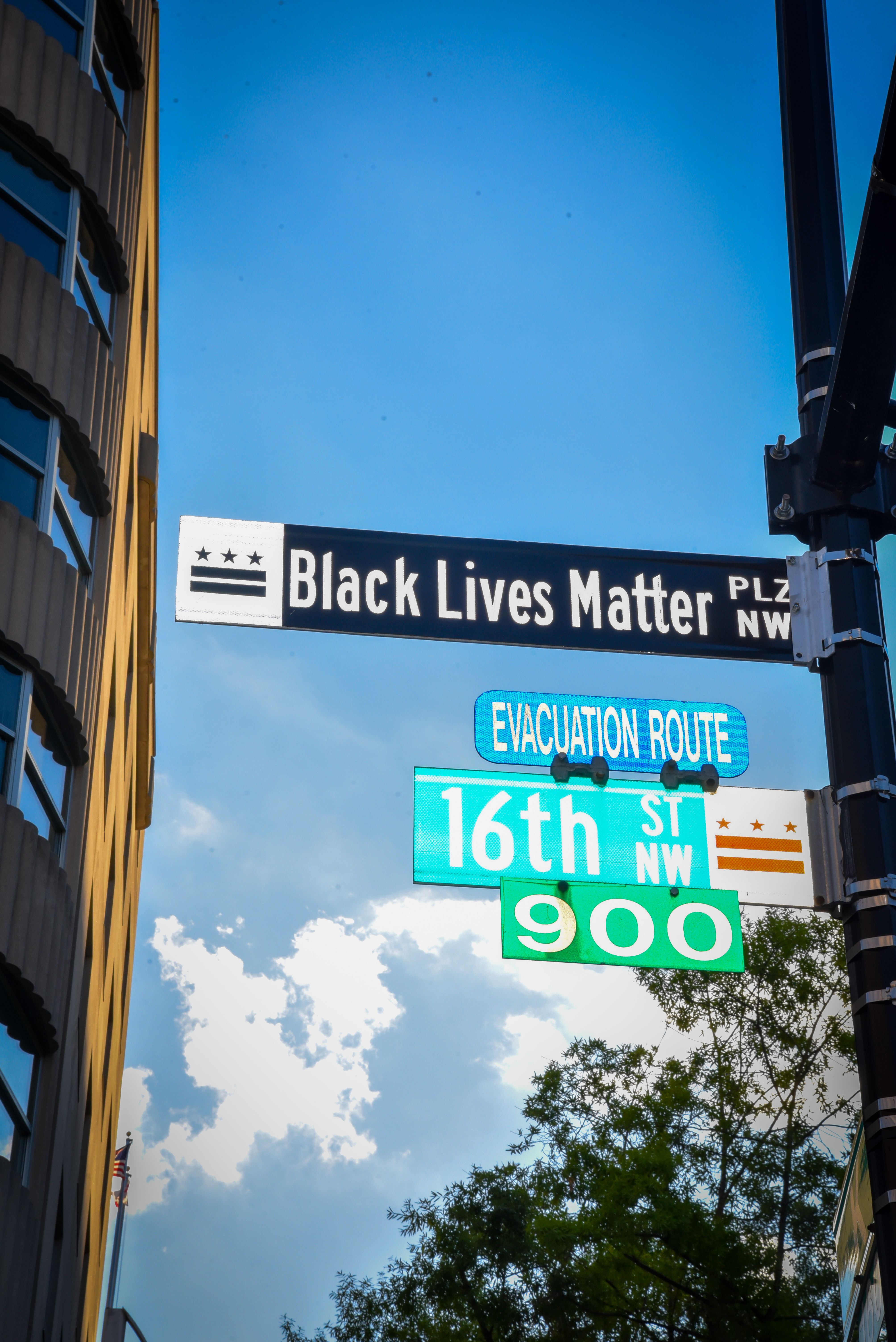 Low Angle Shot of Street Signages Under Blue Sky · Free Stock Photo