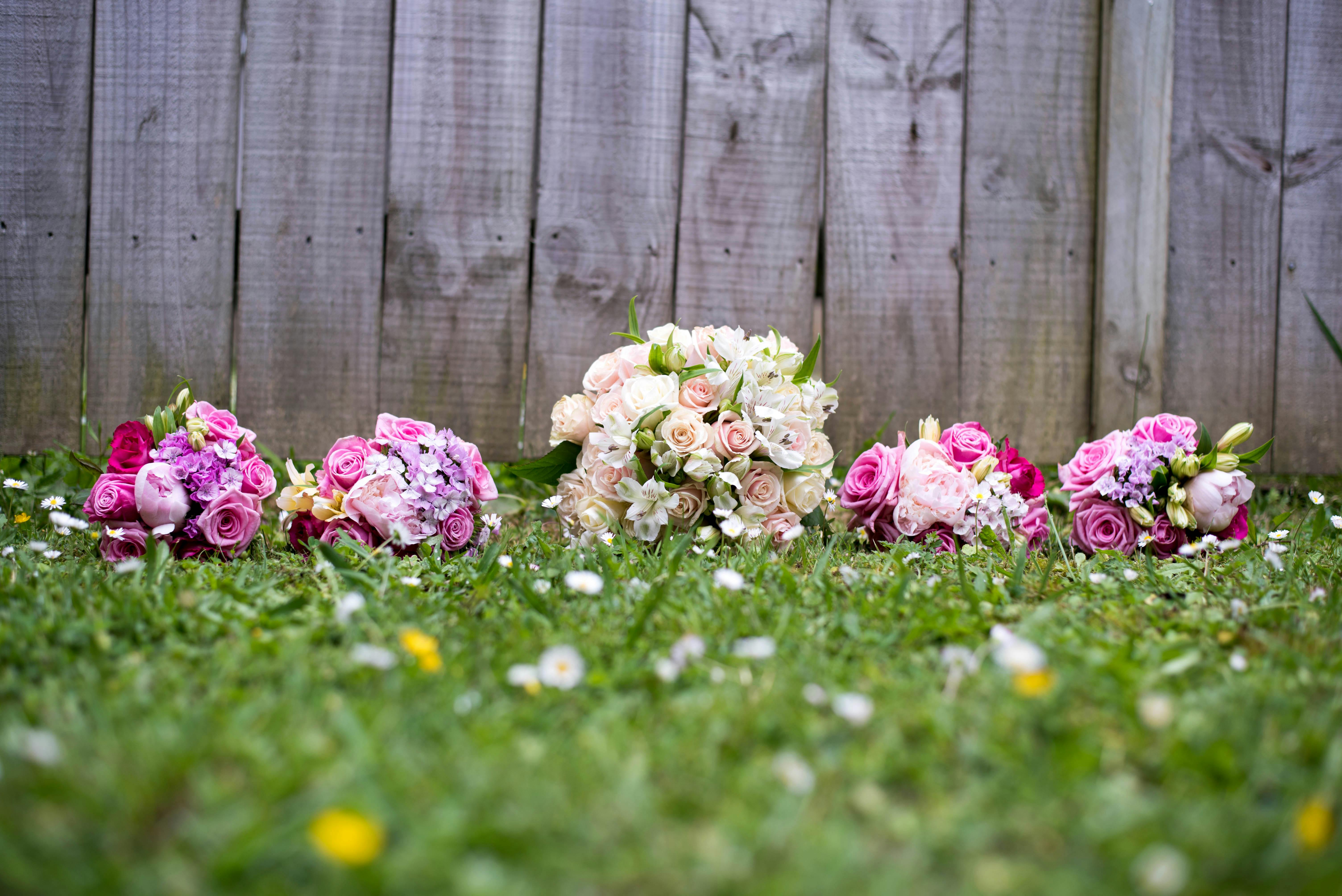 Level 607 Wordscapes In Bloom Photos, Download The BEST Free Level 607 ...