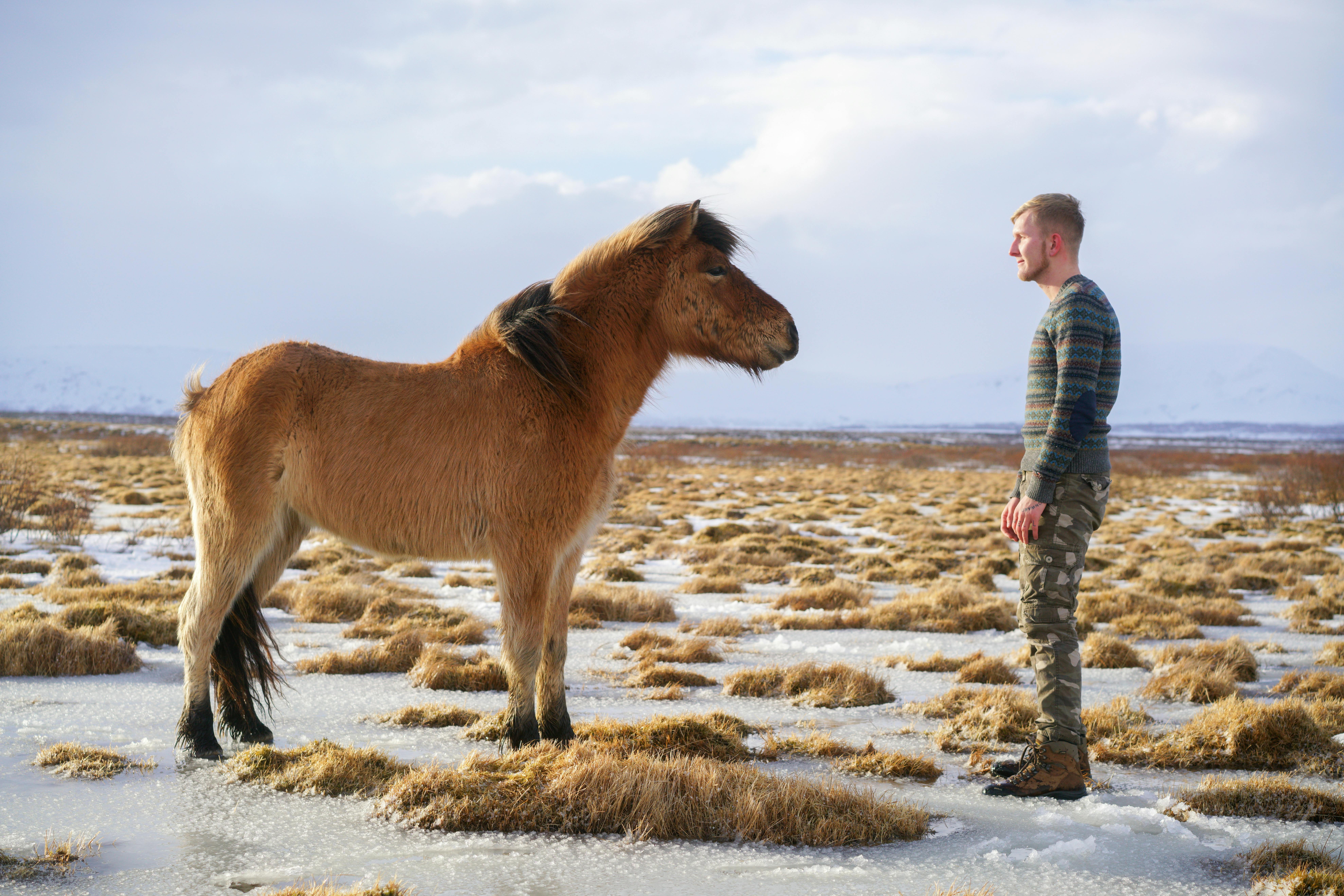 Man and Pony · Free Stock Photo