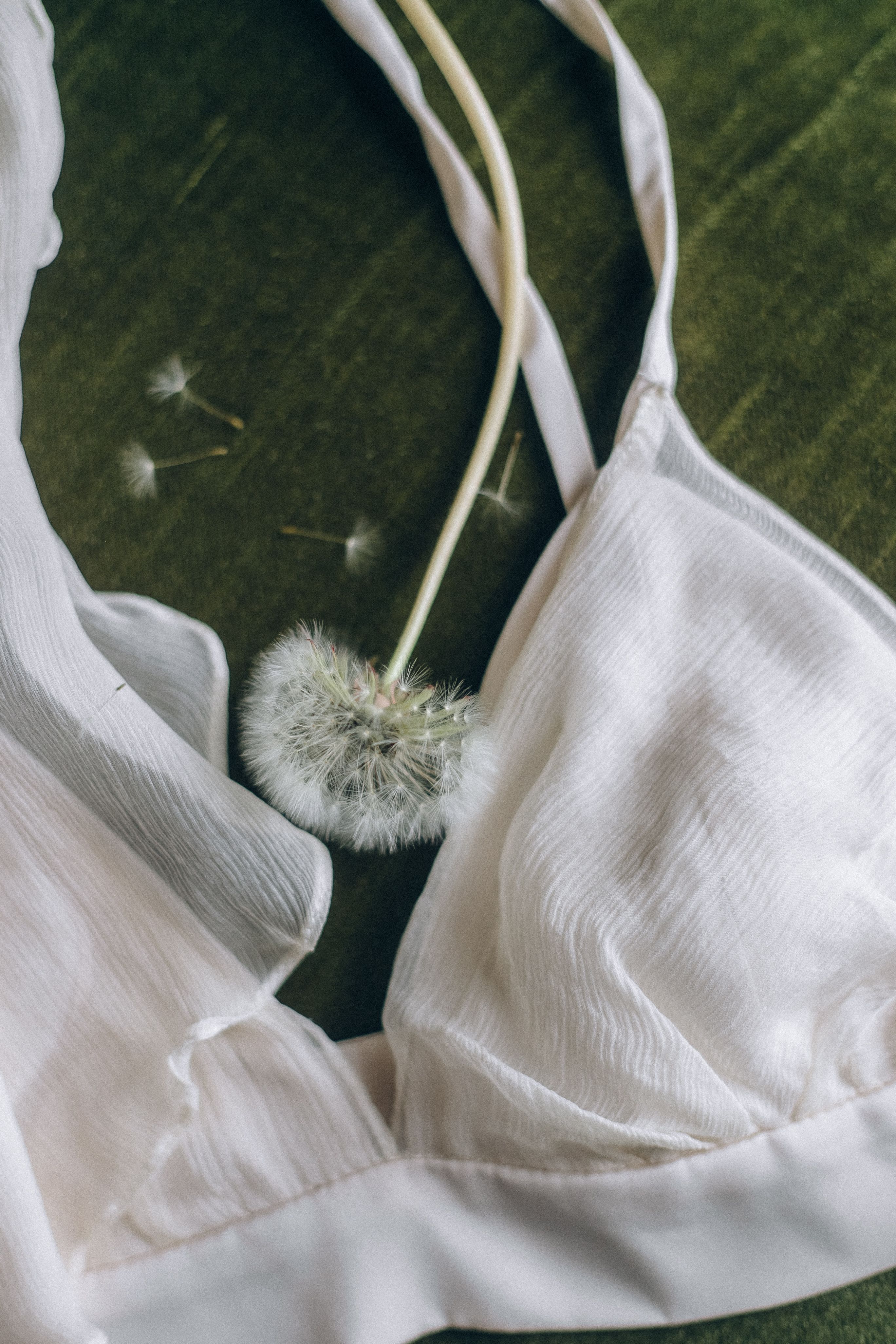 White Brassiere in Close Up Shot · Free Stock Photo