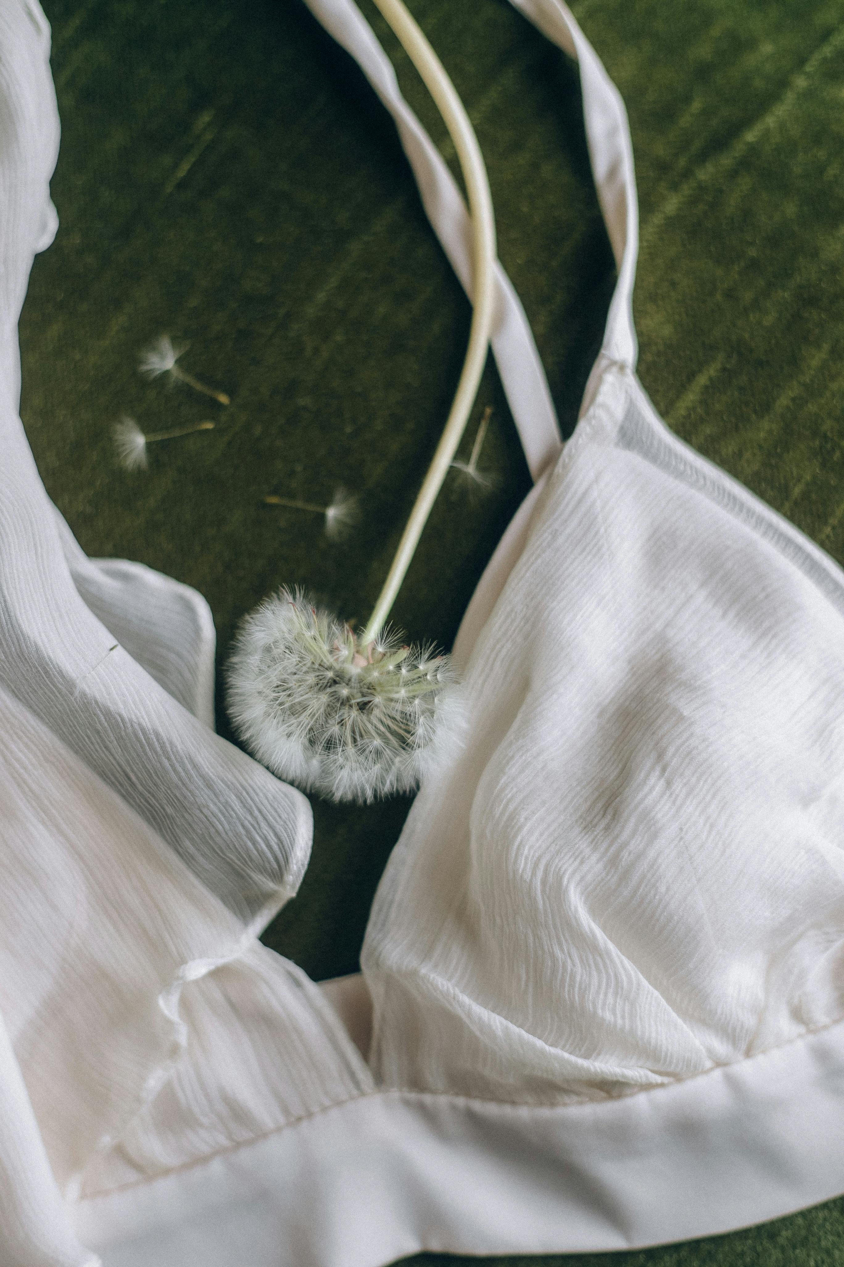 Mensuas Underwear Photos, Download Free Mensuas Underwear Stock Photos ...