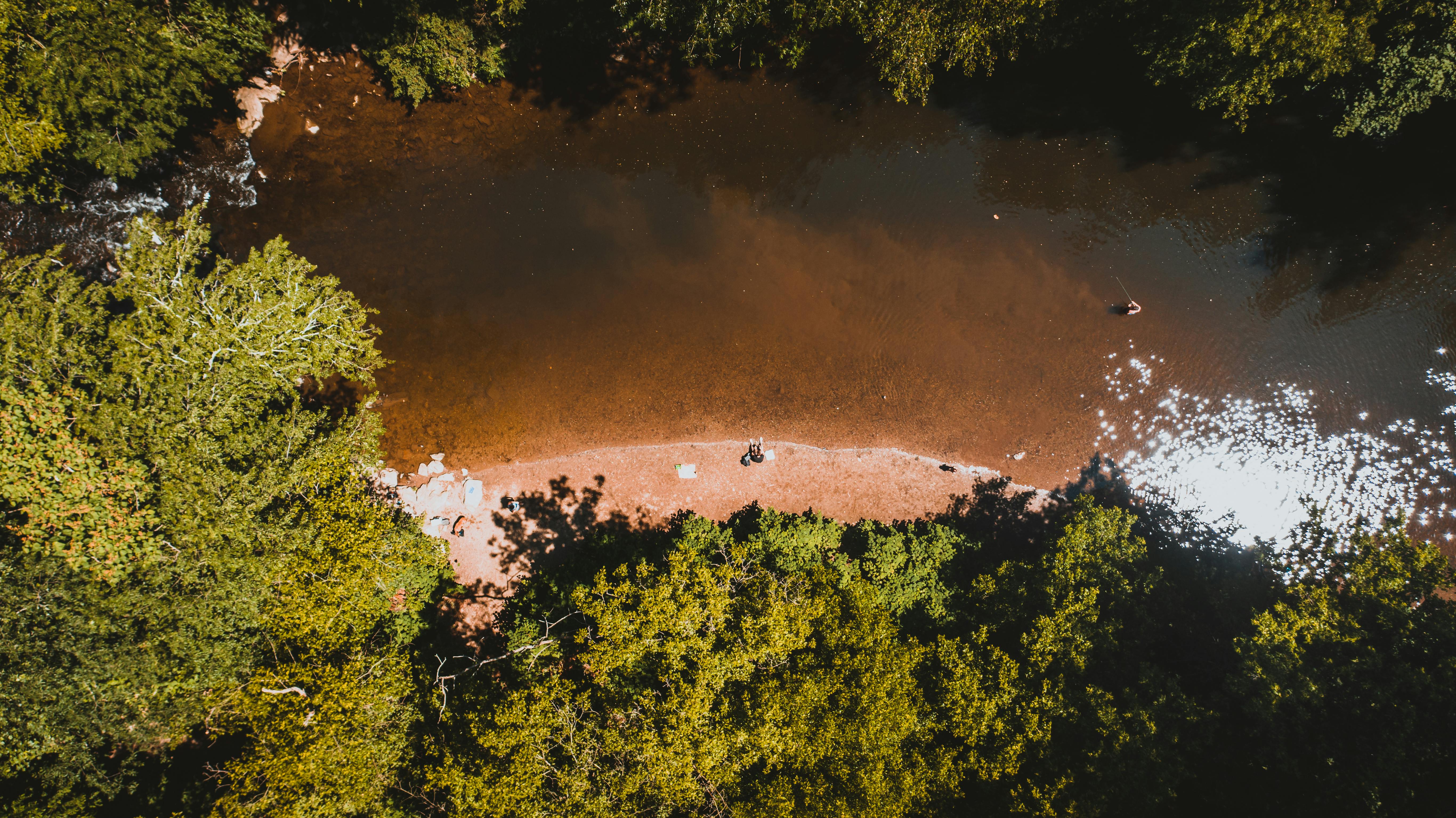 20,000+ Best The Amazon Rainforest Aerial Photos · 100% Free Download ...