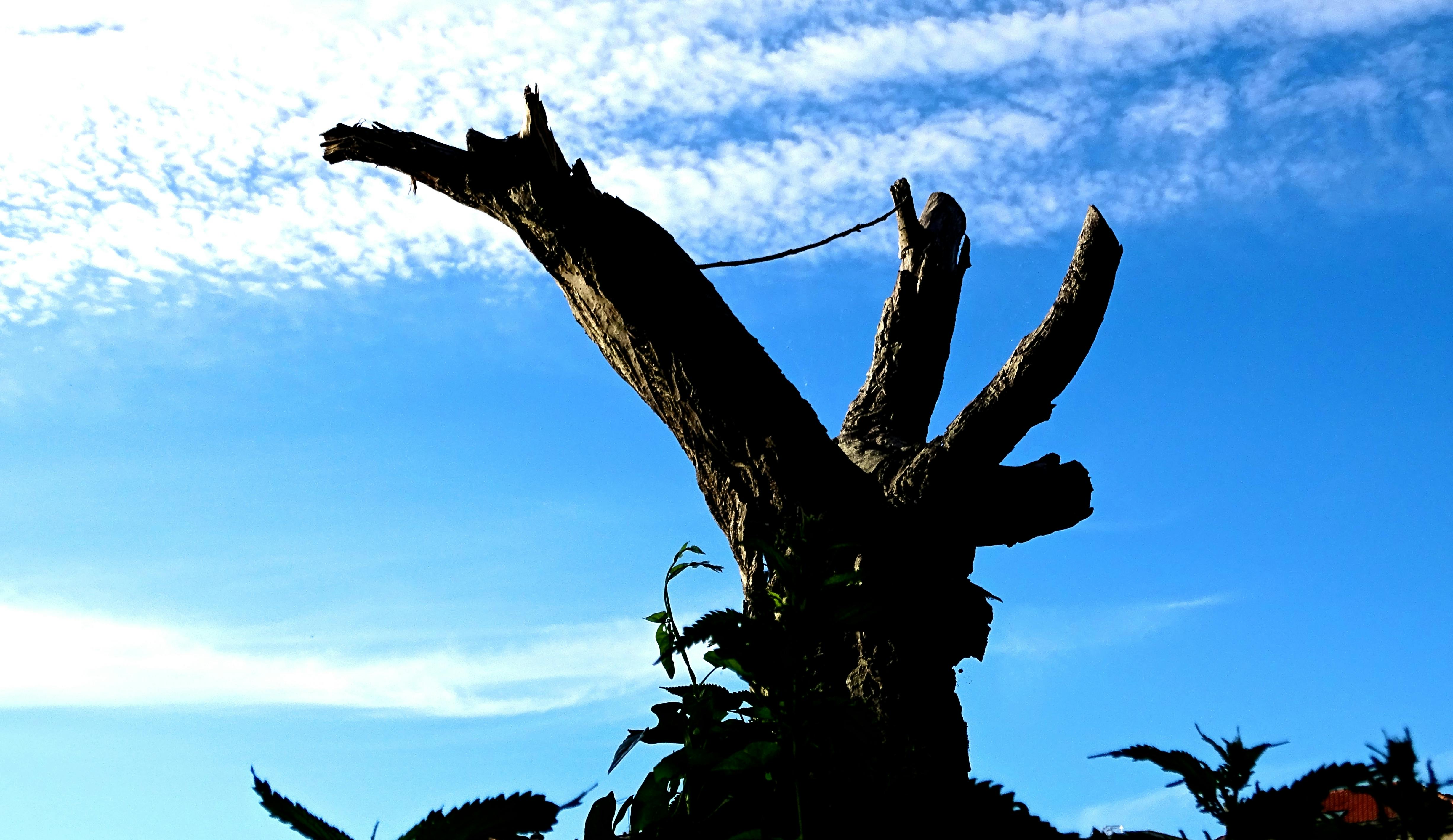 Kostenlose Bilder von . · Pexels