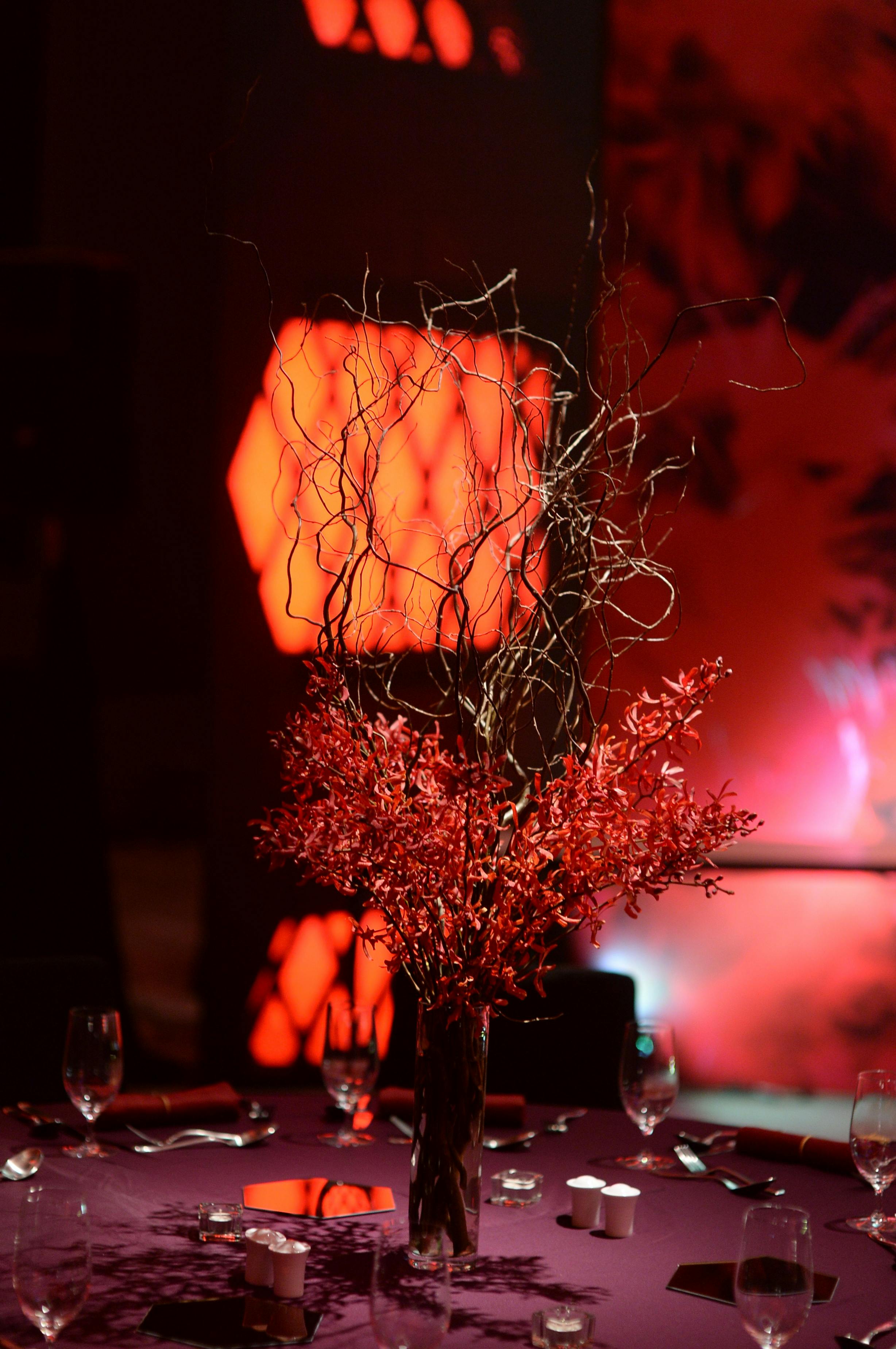 Jeffrey Soh - 摄影