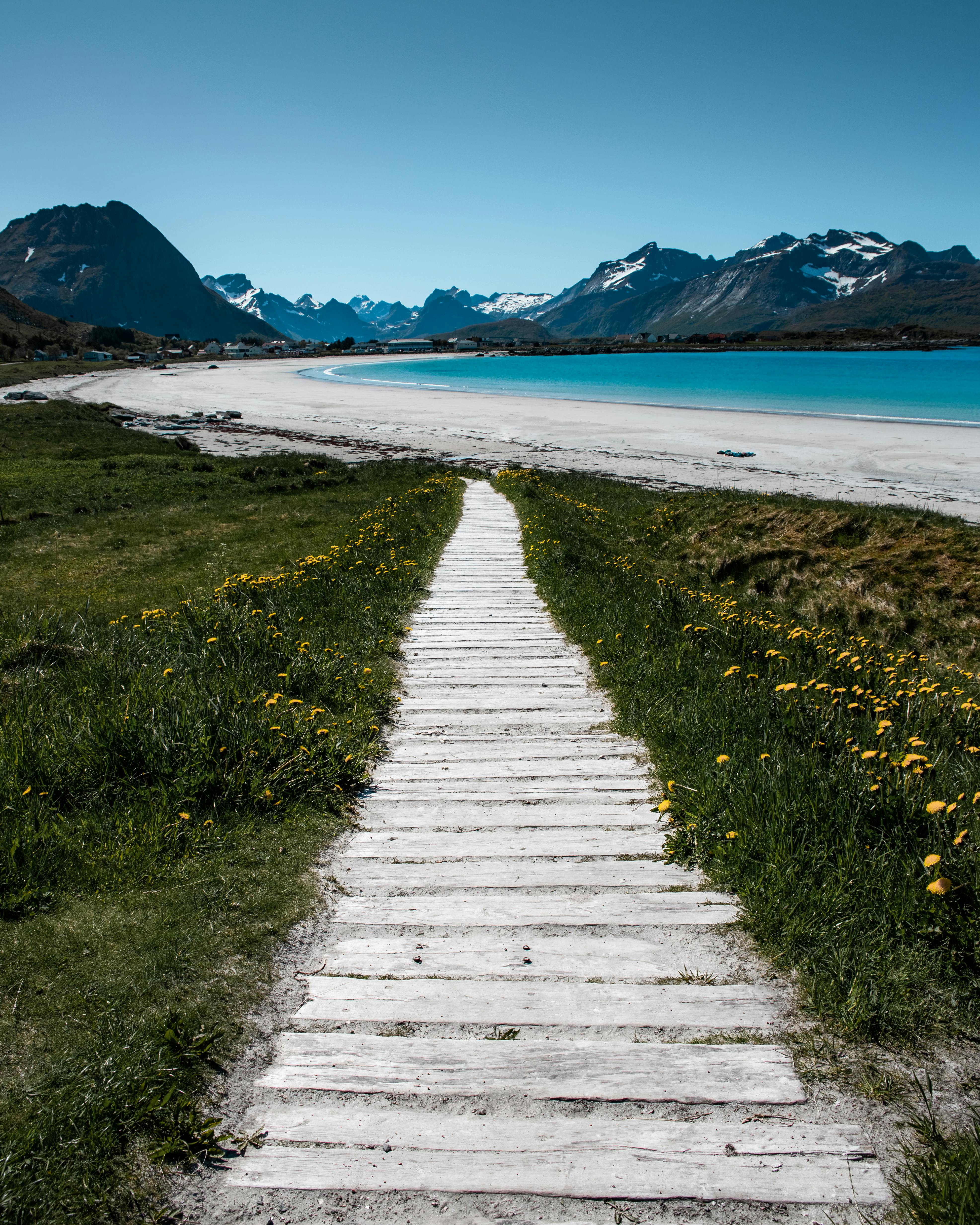 Photo of Pathway Going to the Beach · Free Stock Photo